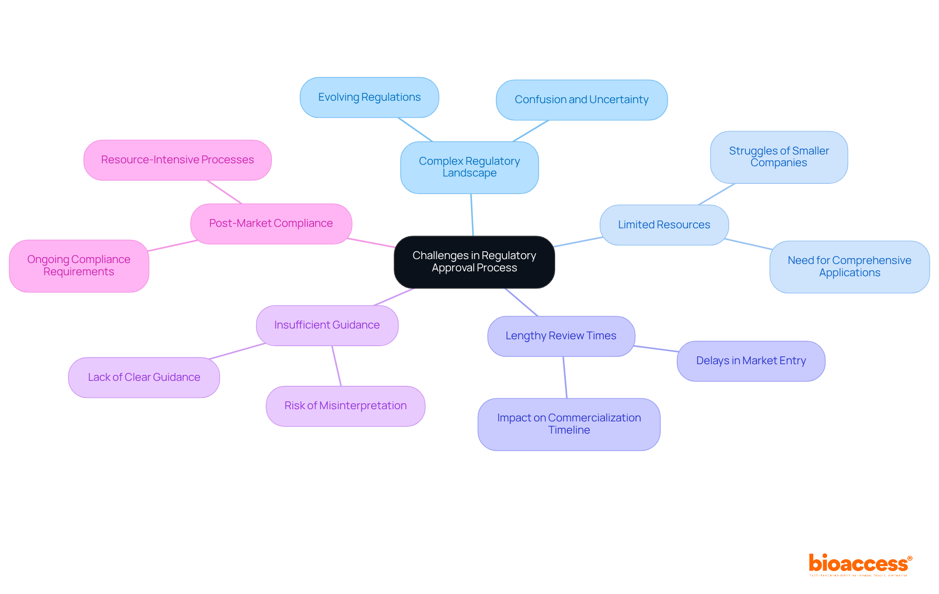 The center shows the main topic, and each branch represents a specific challenge companies face. Follow the branches to understand the different hurdles in the regulatory landscape. The center shows the main topic, and each branch represents a specific challenge companies face. Follow the branches to understand the different hurdles in the regulatory landscape.