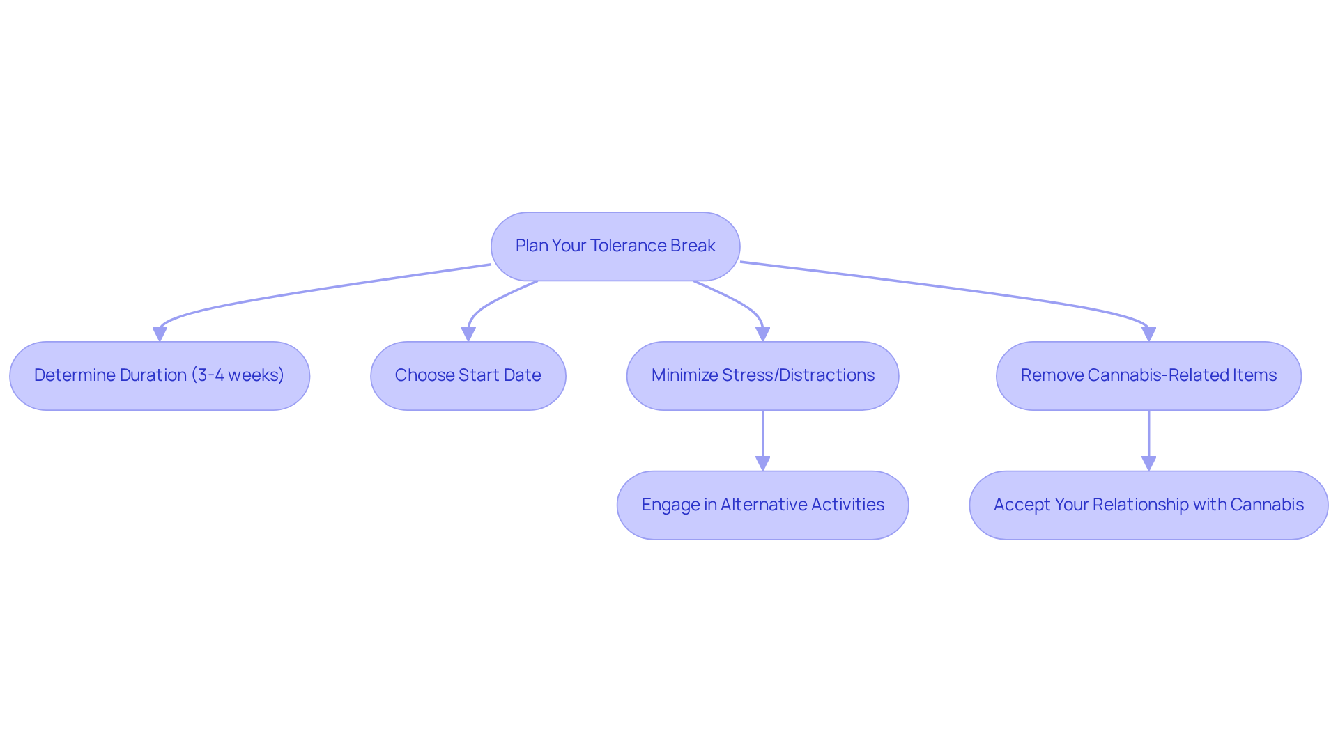Follow the arrows through each step to understand how to effectively plan your tolerance break. Each box represents an important action or consideration to help you succeed.