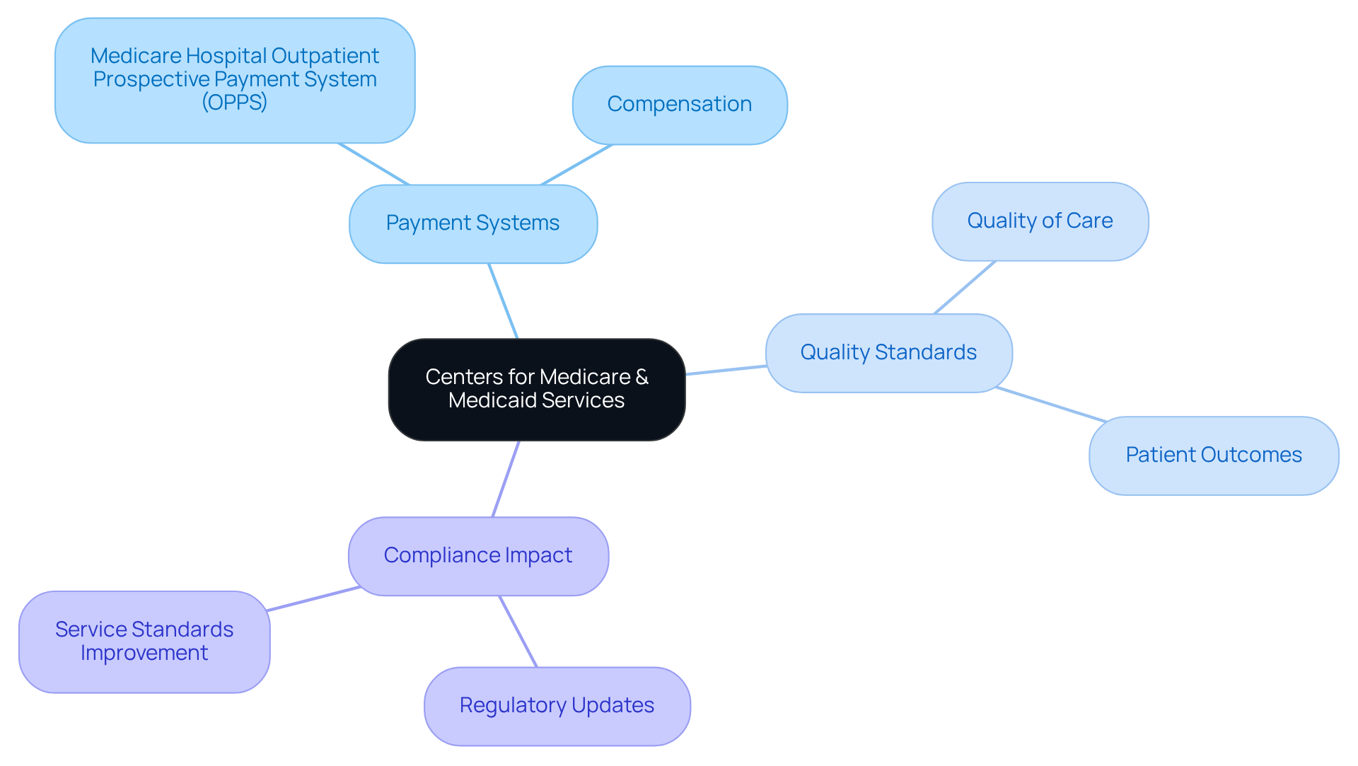 The center represents CMS's role, while the branches illustrate key topics like payment systems and quality standards. Each sub-branch provides details that show how these regulations affect patient care. The center represents CMS's role, while the branches illustrate key topics like payment systems and quality standards. Each sub-branch provides details that show how these regulations affect patient care.