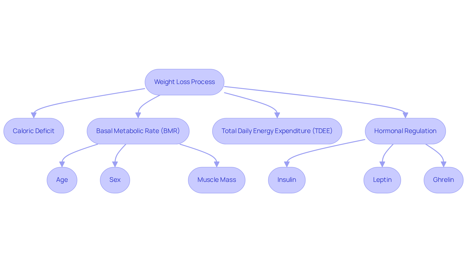 This flowchart outlines the key components of weight loss. Start with the main process at the top, then follow the arrows to see how each factor, like BMR and hormones, influences your weight loss journey. Each box represents an important aspect to consider, helping you understand how they all connect.