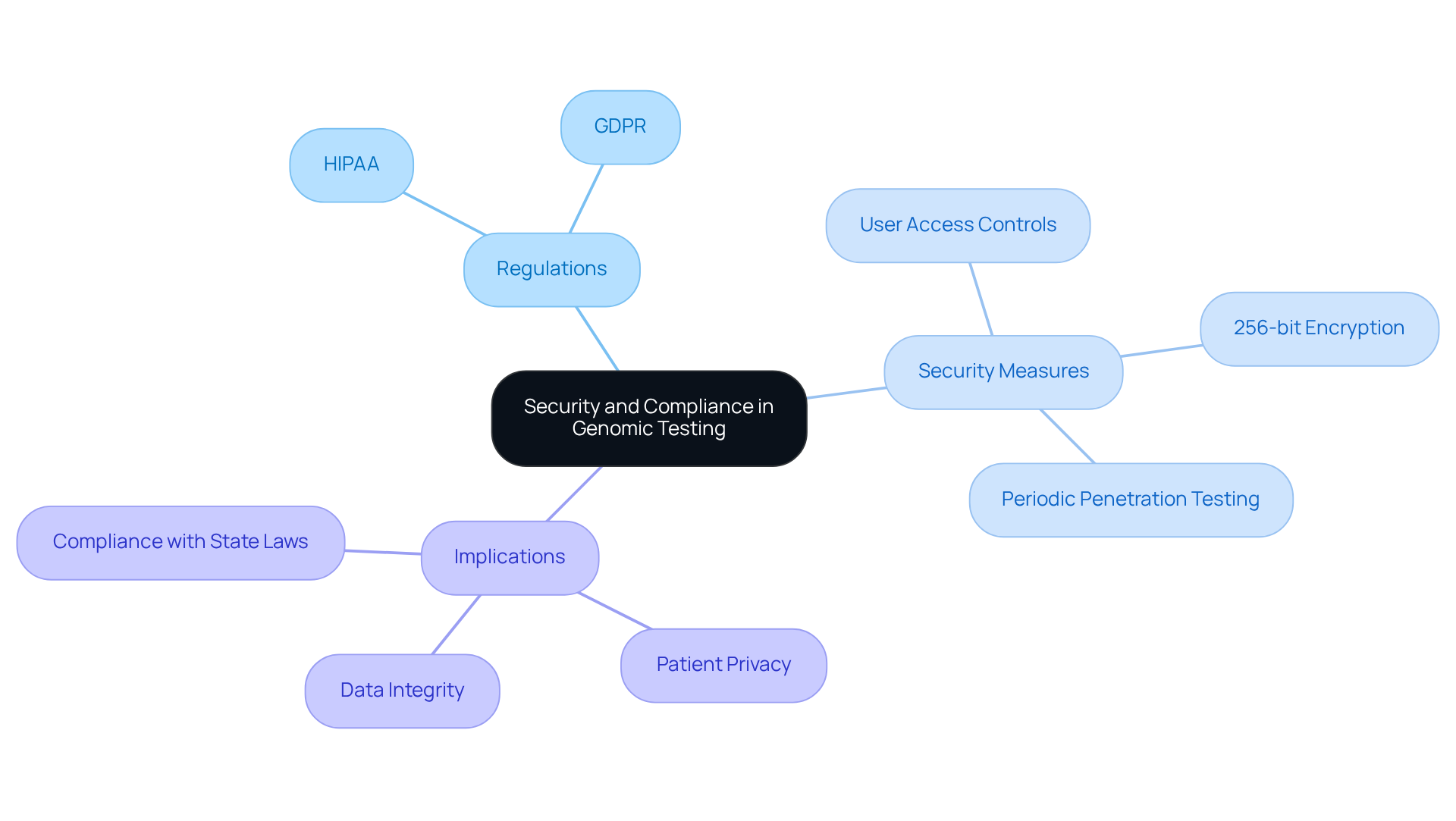 The center represents the main topic, while branches show key areas of focus. Each color-coded branch helps you see how regulations, security measures, and implications for patient privacy are interconnected.