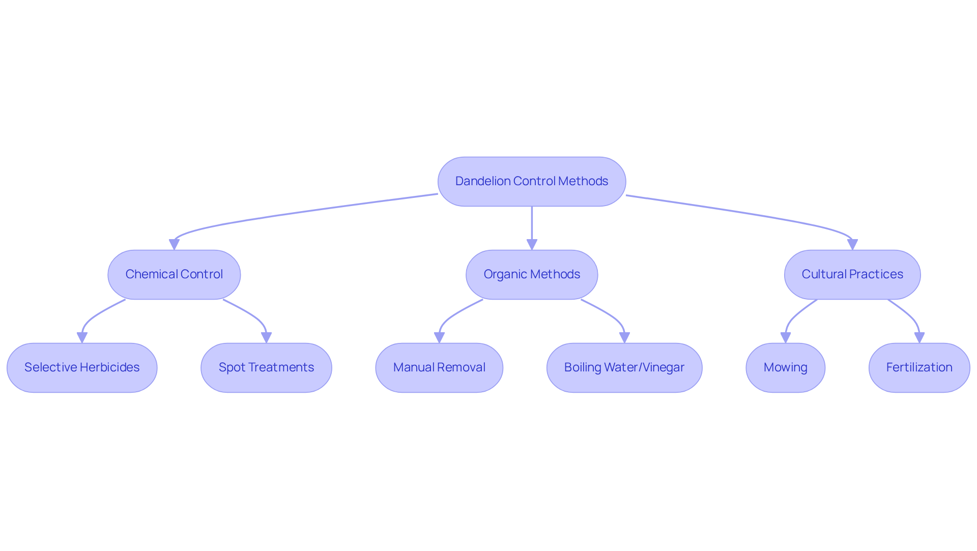 This flowchart guides you through different methods to control dandelions. Start at the top and follow the branches to see which method suits your needs best. Each box represents a strategy, and the arrows show how you can choose between them. This flowchart guides you through different methods to control dandelions. Start at the top and follow the branches to see which method suits your needs best. Each box represents a strategy, and the arrows show how you can choose between them.