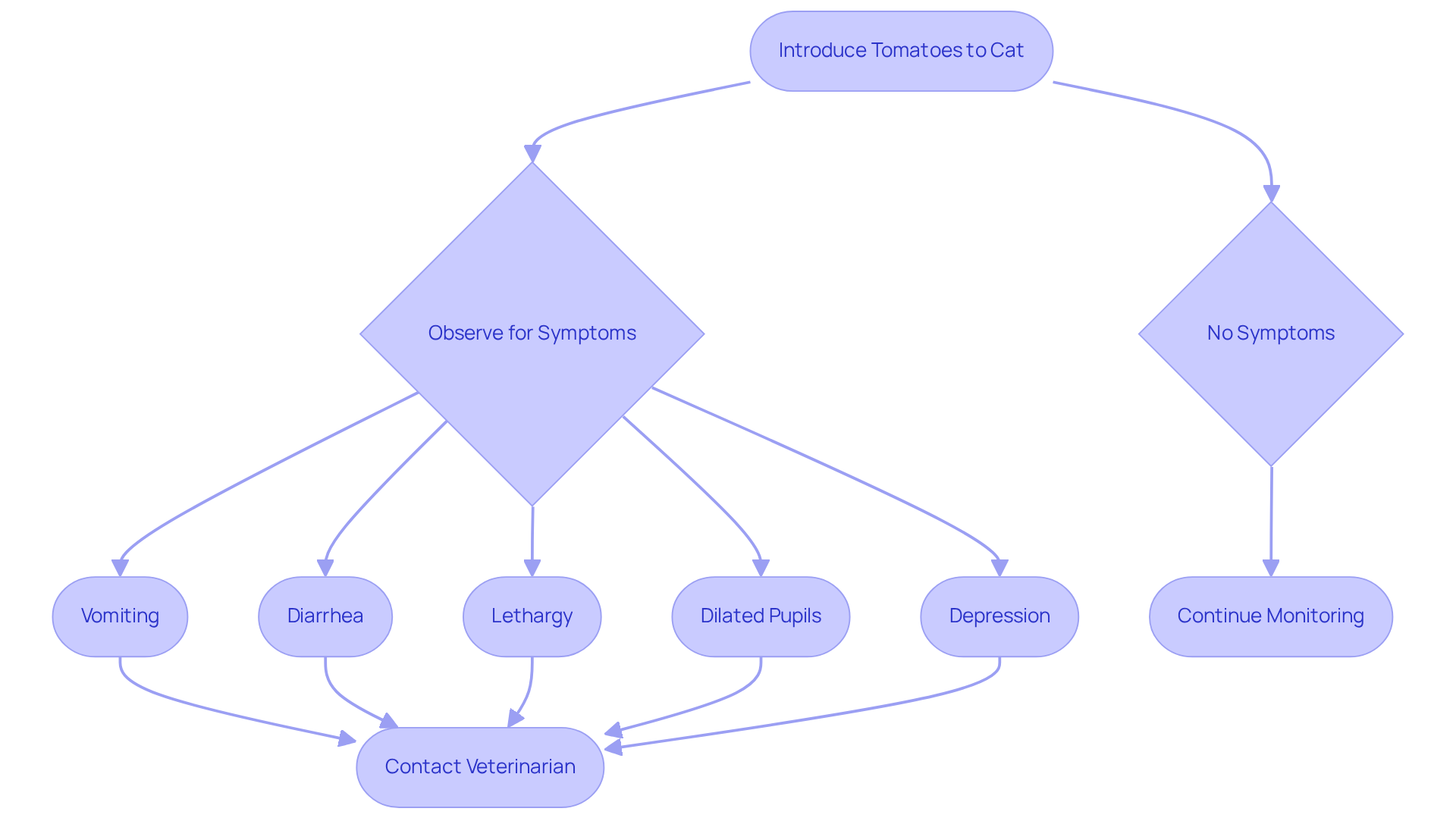 This flowchart guides you through the process of safely introducing tomatoes to your cat's diet. If you notice any symptoms after feeding, follow the arrows to know what steps to take next.