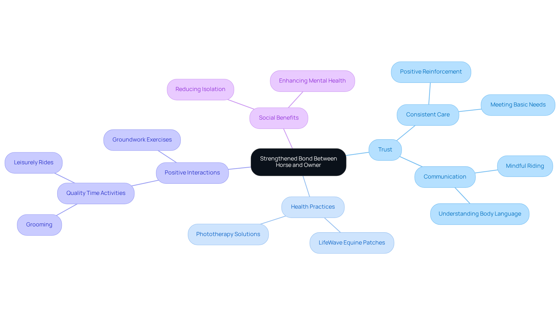 This mindmap illustrates how various factors contribute to the bond between horse and owner. Start at the center with the main theme, then explore each branch to see how trust, health practices, and positive interactions play a role in enhancing the relationship. This mindmap illustrates how various factors contribute to the bond between horse and owner. Start at the center with the main theme, then explore each branch to see how trust, health practices, and positive interactions play a role in enhancing the relationship.