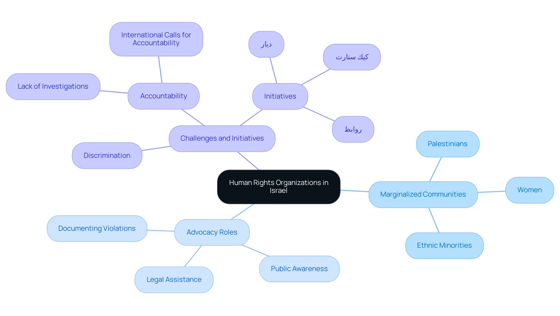 Each branch represents a key area of focus: communities served, advocacy roles, and challenges, with colors differentiating between the main categories.