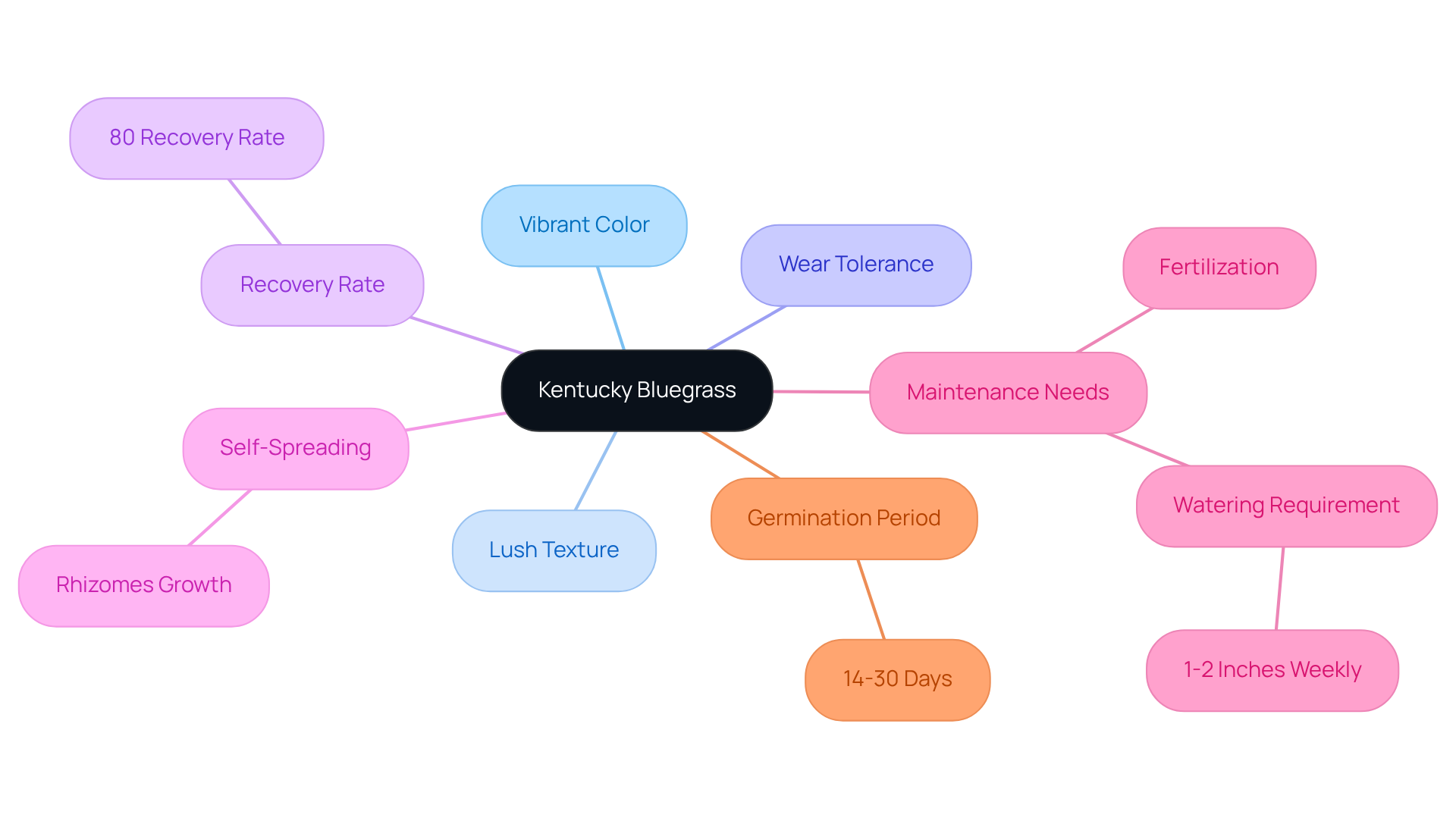The central node represents Kentucky Bluegrass, and each branch highlights a key feature. Explore the sub-branches for more details on each aspect, showing why this grass is ideal for busy yards.