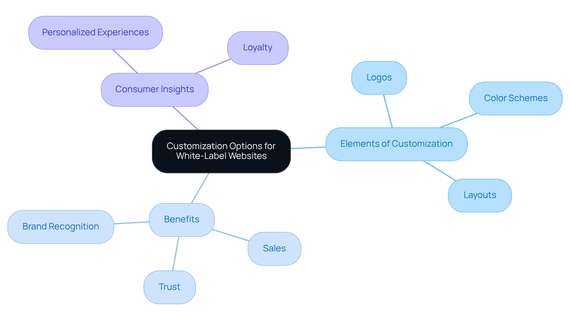 Start at the center with the main idea of customization. Follow the branches to explore different elements, benefits, and consumer insights that highlight the importance of tailoring your website to reflect your brand.