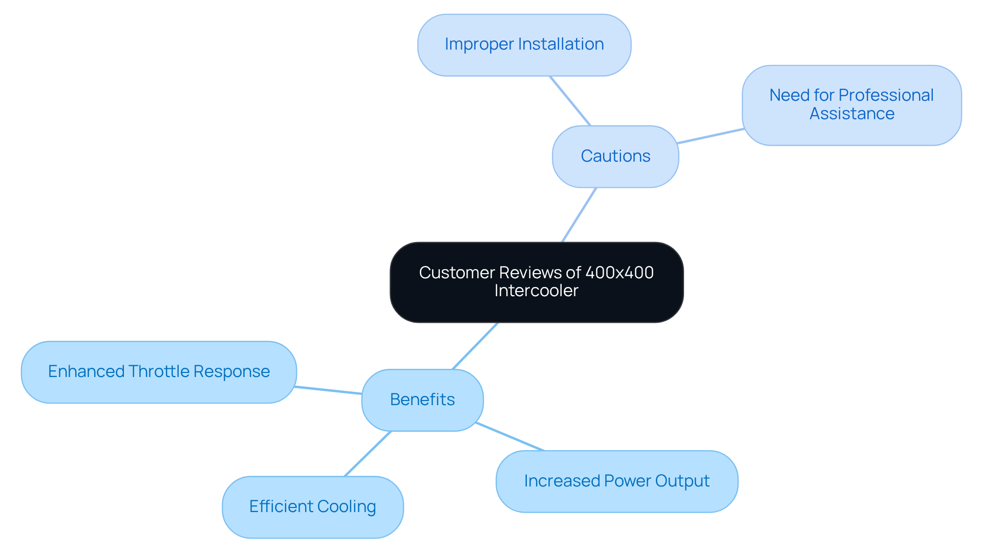 The central node represents the overall topic of customer reviews. The branches show the benefits users experienced and the caution about installation, helping you understand both the positive feedback and the necessary precautions. The central node represents the overall topic of customer reviews. The branches show the benefits users experienced and the caution about installation, helping you understand both the positive feedback and the necessary precautions.