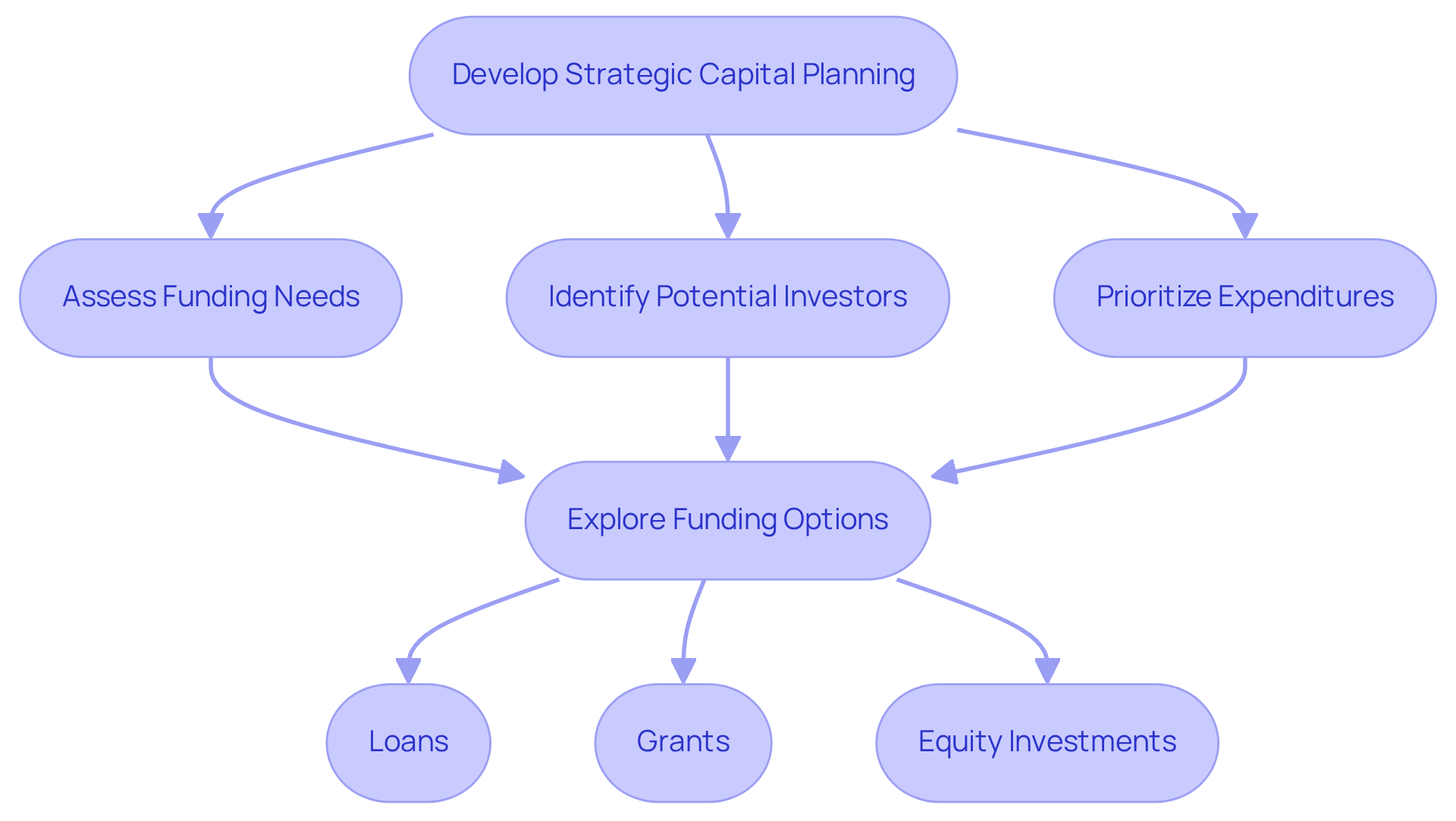 This flowchart outlines the step-by-step process for vineyards to develop their capital planning strategy. Each box represents a key action that builds towards sustainable growth.