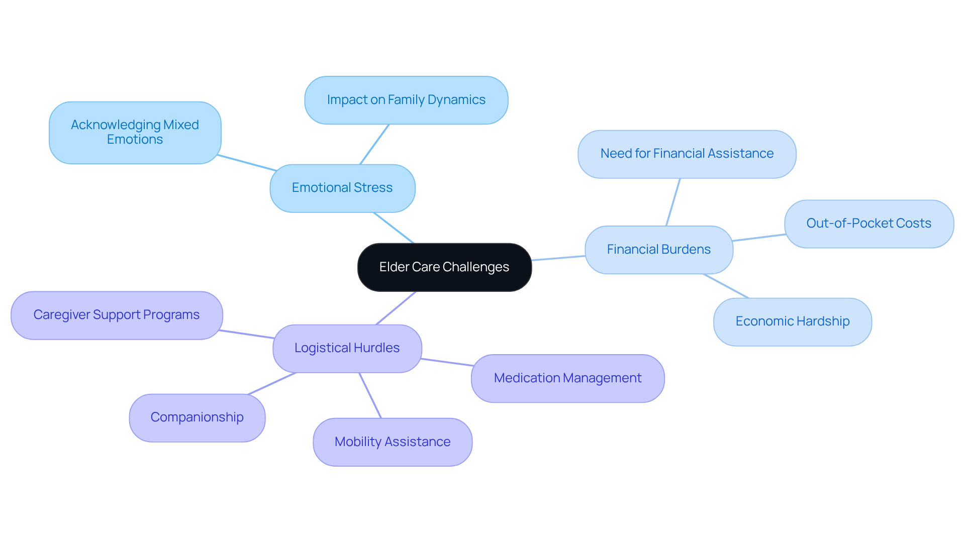 The central node represents the overall theme of elder care challenges, while the branches show different categories of issues families may face. Each sub-branch highlights specific needs, helping to visualize the complexities of caregiving.