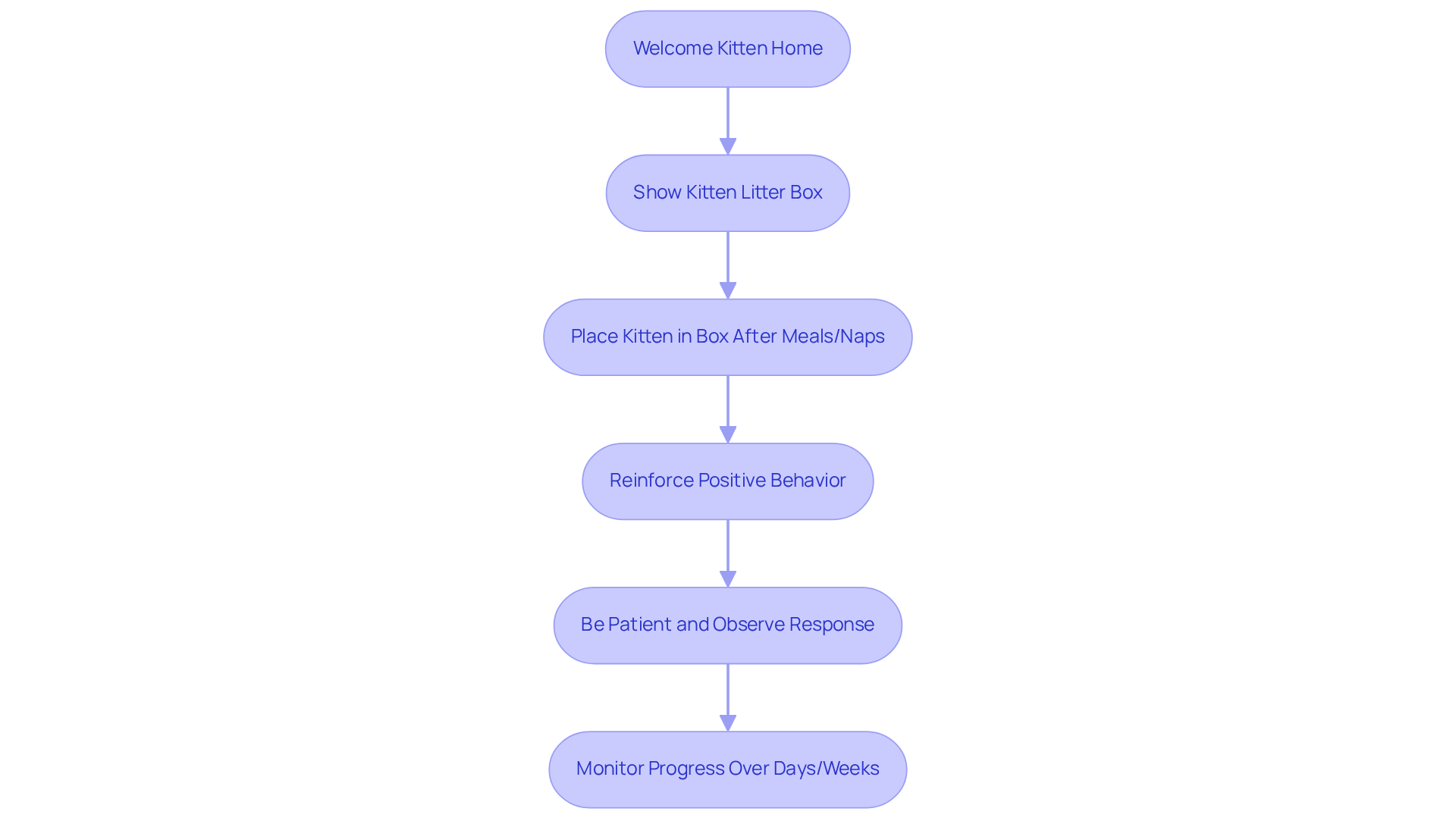 Each box outlines a key step in the litter training process. Follow the arrows to see how to guide your kitten from introduction to successful litter habits.