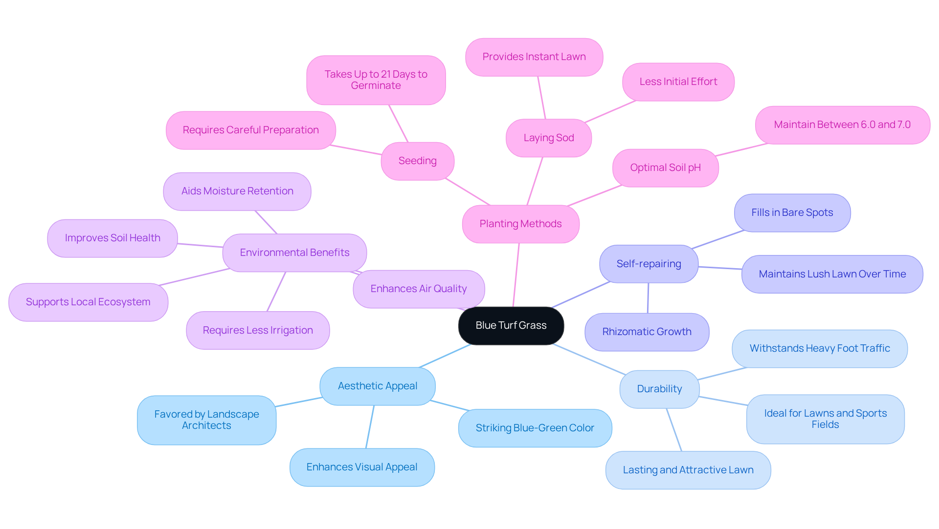 The central node represents blue turf grass, and each branch shows a different characteristic or benefit. Follow the branches to explore how each aspect contributes to the overall value of blue turf grass in landscaping.