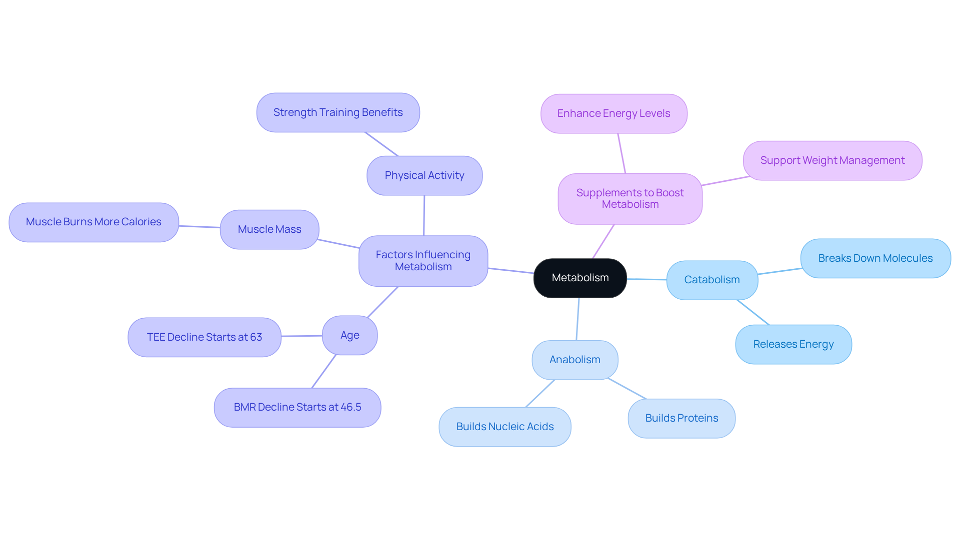 This mindmap starts with the central concept of metabolism and branches out to show its two main processes and the factors that influence it. Each branch represents a key idea, helping you see how they relate to effective supplement use for energy and weight management. This mindmap starts with the central concept of metabolism and branches out to show its two main processes and the factors that influence it. Each branch represents a key idea, helping you see how they relate to effective supplement use for energy and weight management.