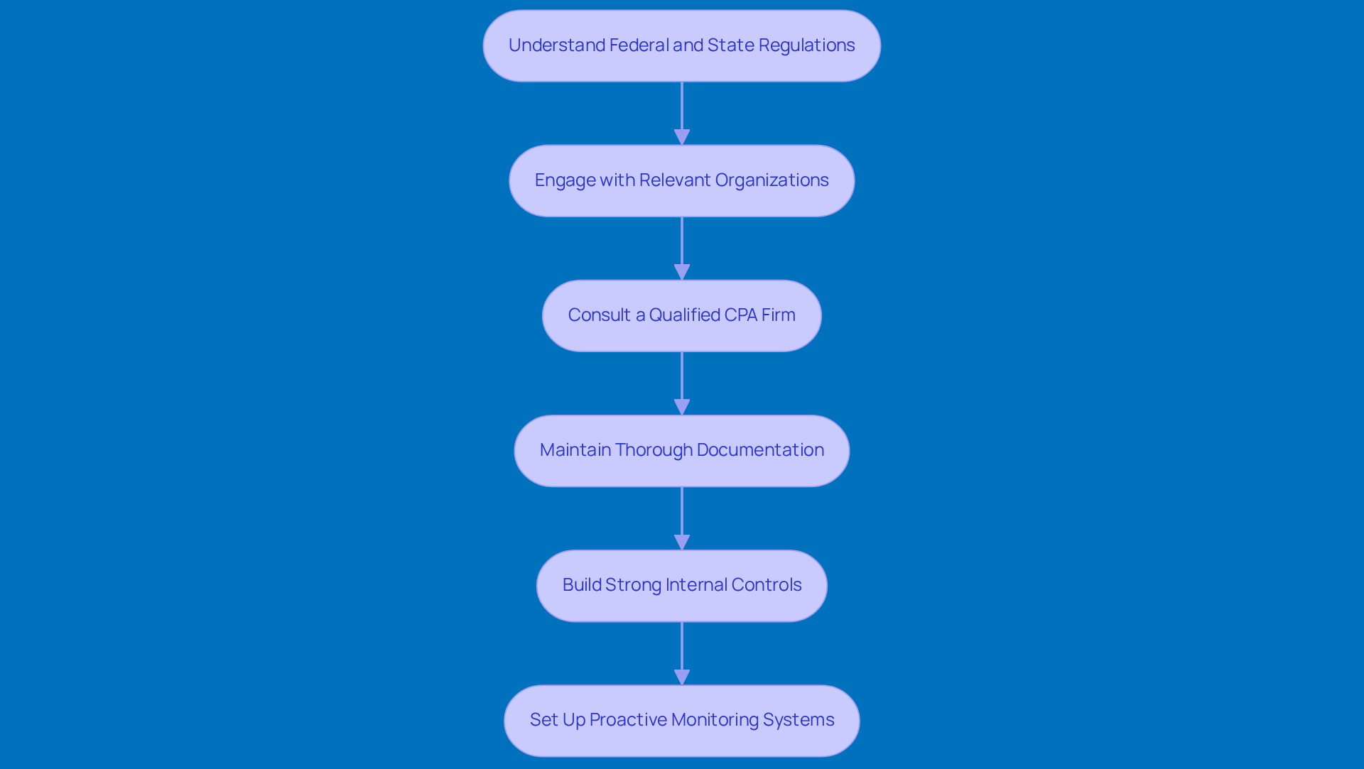 Each box represents a crucial step in the audit process. Follow the arrows to see how each step leads to the next, helping non-profits stay compliant and prepared for audits. Each box represents a crucial step in the audit process. Follow the arrows to see how each step leads to the next, helping non-profits stay compliant and prepared for audits.
