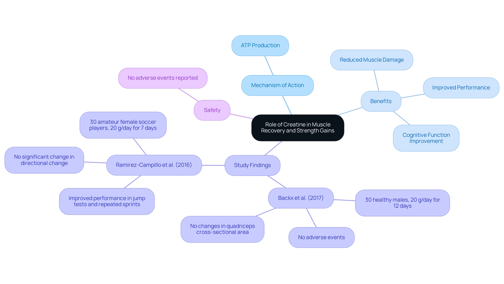 The central node represents creatine's overall role, with branches showing mechanisms, benefits, study findings, and safety, differentiated by color.