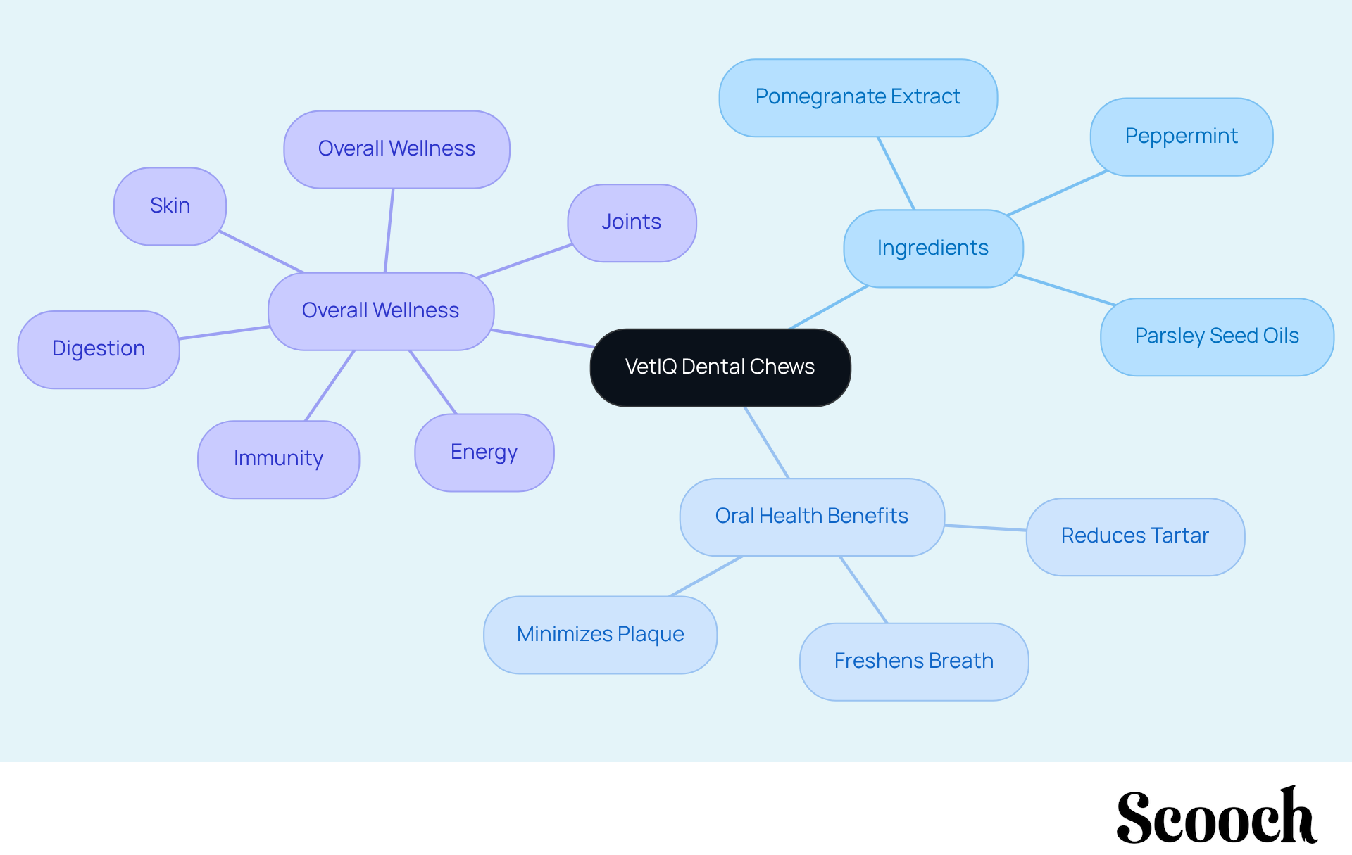 The center shows the product, and the branches highlight its ingredients and benefits. Each branch leads to specific aspects of how these chews contribute to your dog's health.