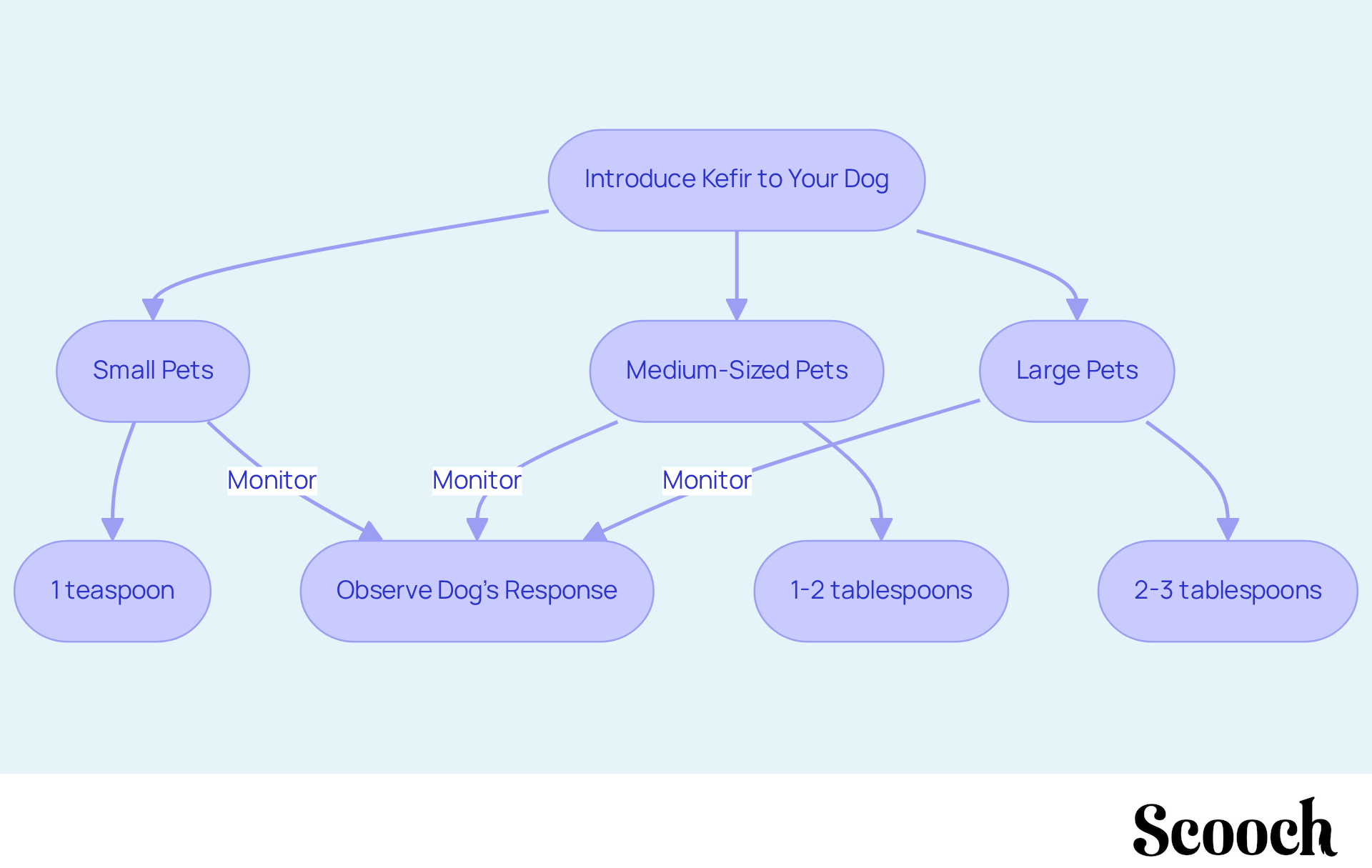 Follow the steps to see how much kefir to introduce based on your dog's size! Keep an eye on how your dog reacts to the new food to ensure it's a good fit.