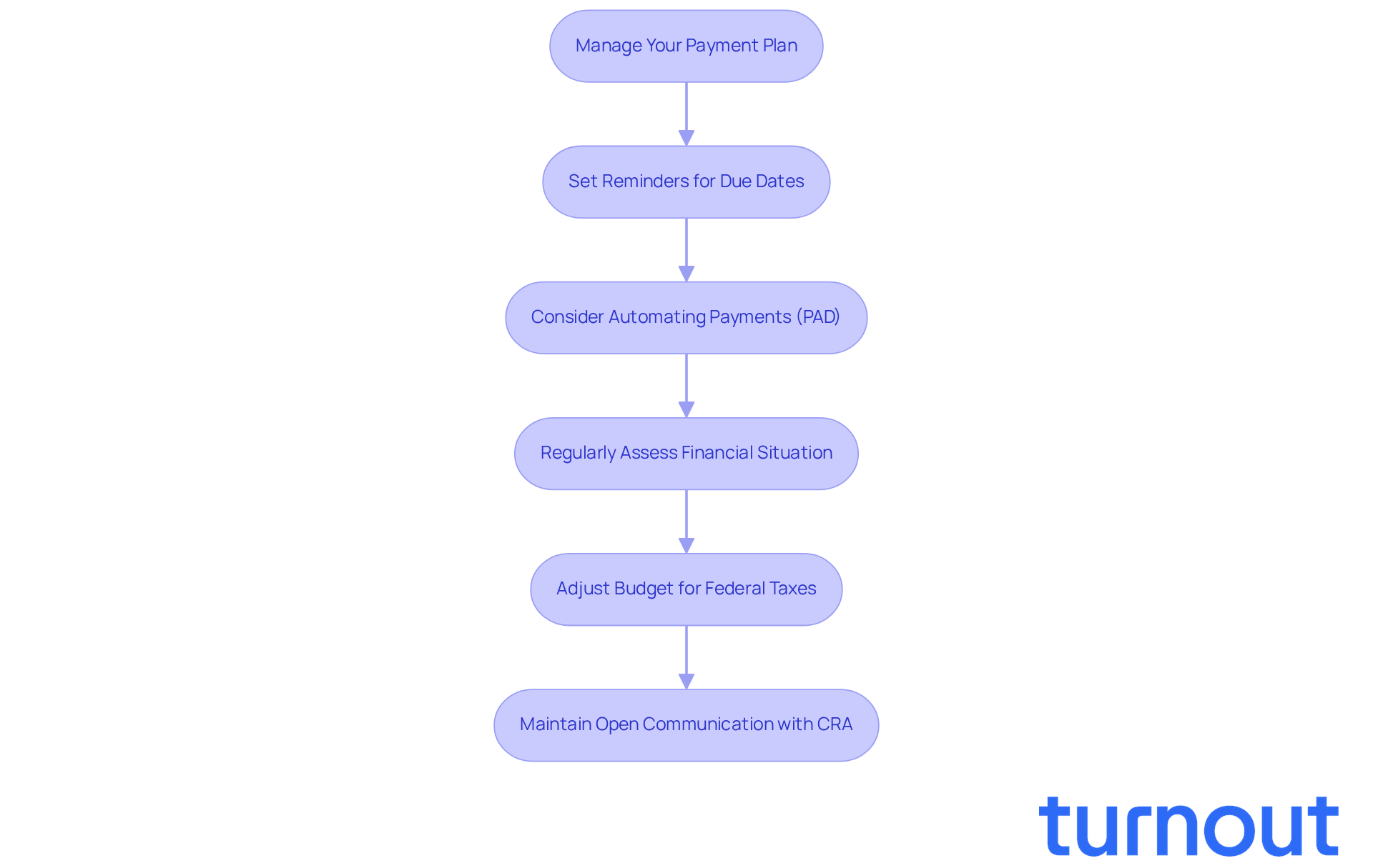 Follow the arrows to see the steps you can take to manage your payment plan. Each box represents an action you can take to stay on track and avoid penalties.