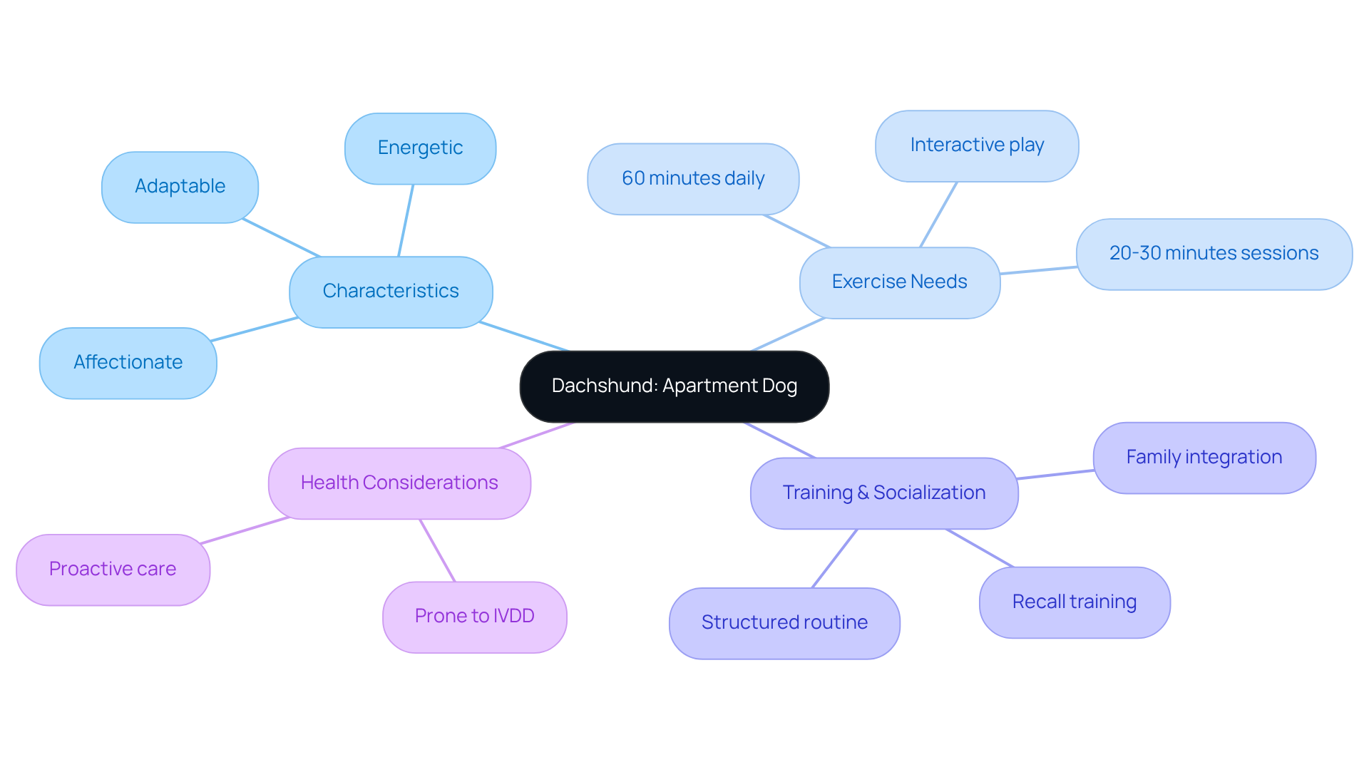 The central node represents the Dachshund's role as an apartment dog, and each branch explores different aspects that contribute to their suitability, from exercise and training to health needs. The central node represents the Dachshund's role as an apartment dog, and each branch explores different aspects that contribute to their suitability, from exercise and training to health needs.