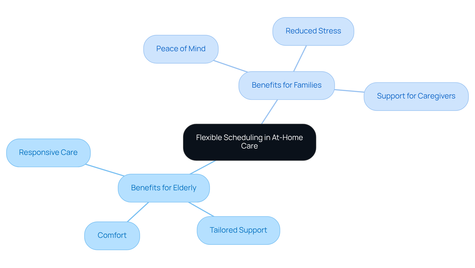At the center, you have the idea of flexible scheduling. Branching out, you can see how it benefits both the elderly and their families, with specific advantages listed for each.