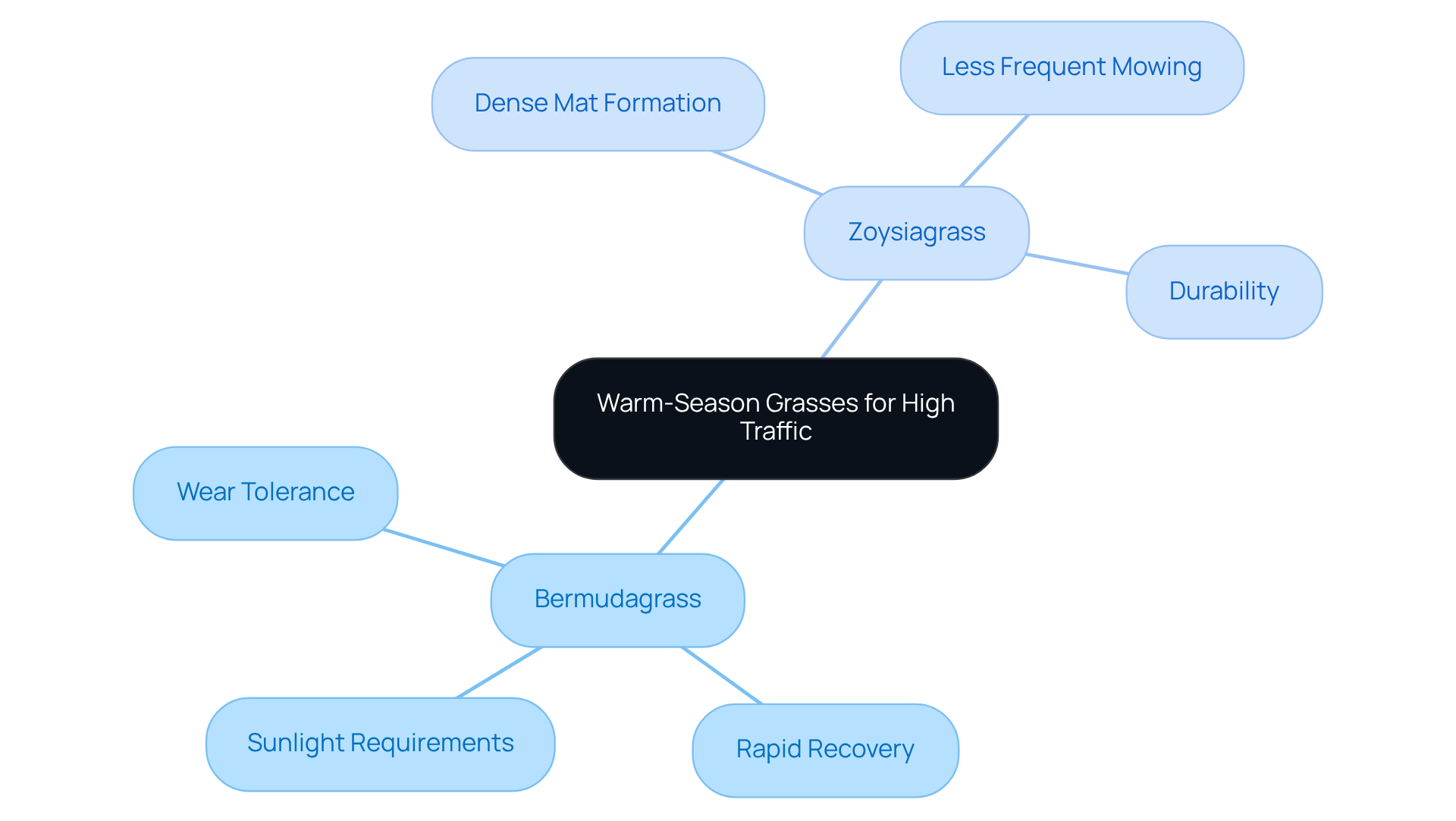 This mindmap shows the benefits of warm-season grasses for high-traffic areas. Start at the center with the main topic, then explore the branches to learn about Bermudagrass and Zoysiagrass, their unique features, and how they help maintain a healthy lawn even under heavy use. This mindmap shows the benefits of warm-season grasses for high-traffic areas. Start at the center with the main topic, then explore the branches to learn about Bermudagrass and Zoysiagrass, their unique features, and how they help maintain a healthy lawn even under heavy use.