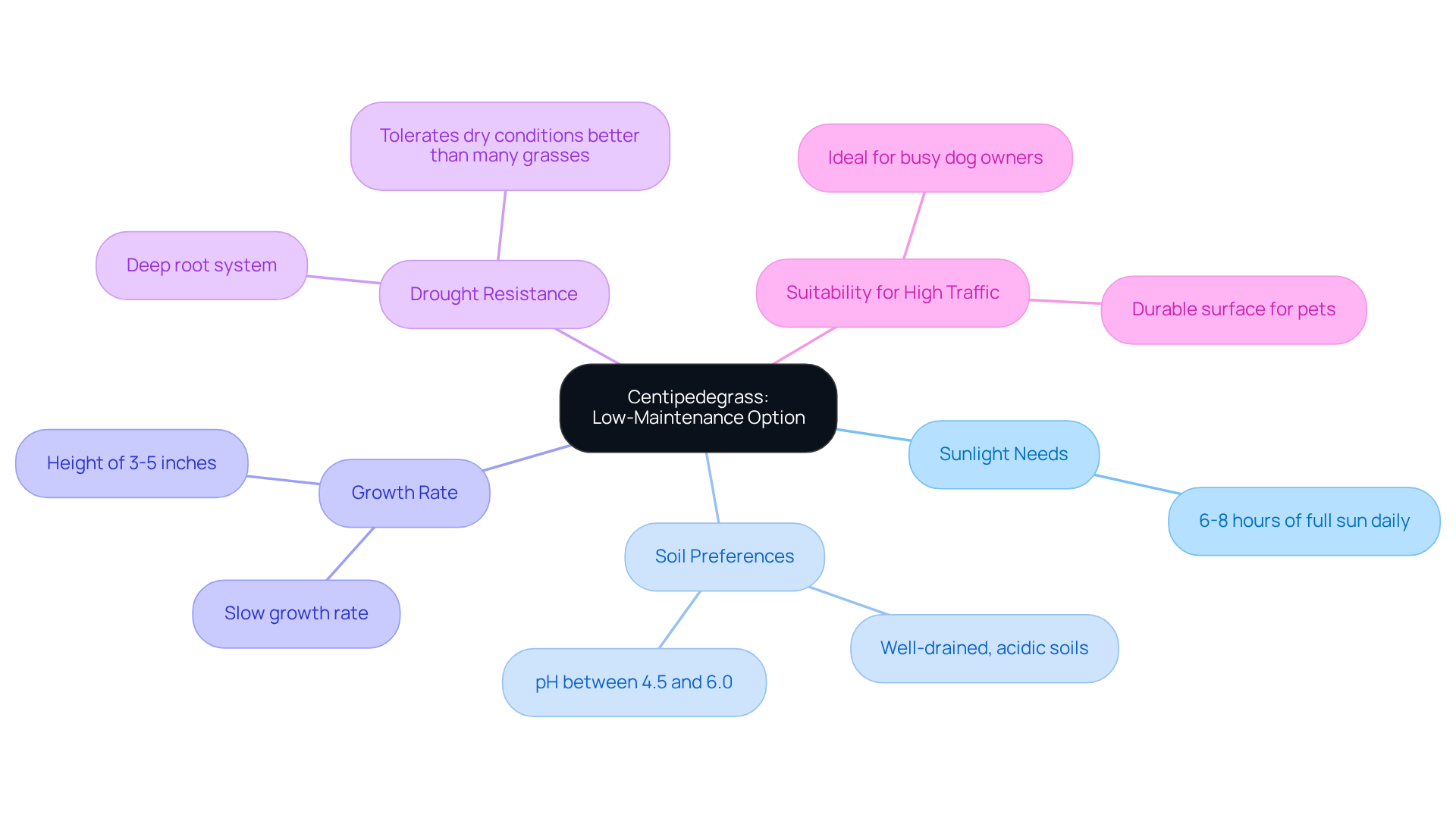 The central node represents Centipedegrass, while the branches show its key features. Each sub-branch provides more details, helping you understand why this grass is a great choice for warm climates and busy dog owners.