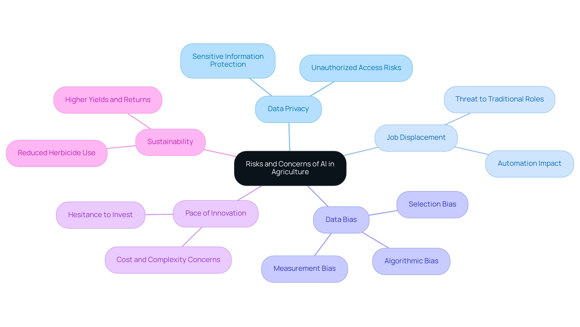 The central node represents the overarching theme, with branches denoting major risks and concerns, and sub-branches detailing specific issues under each category.