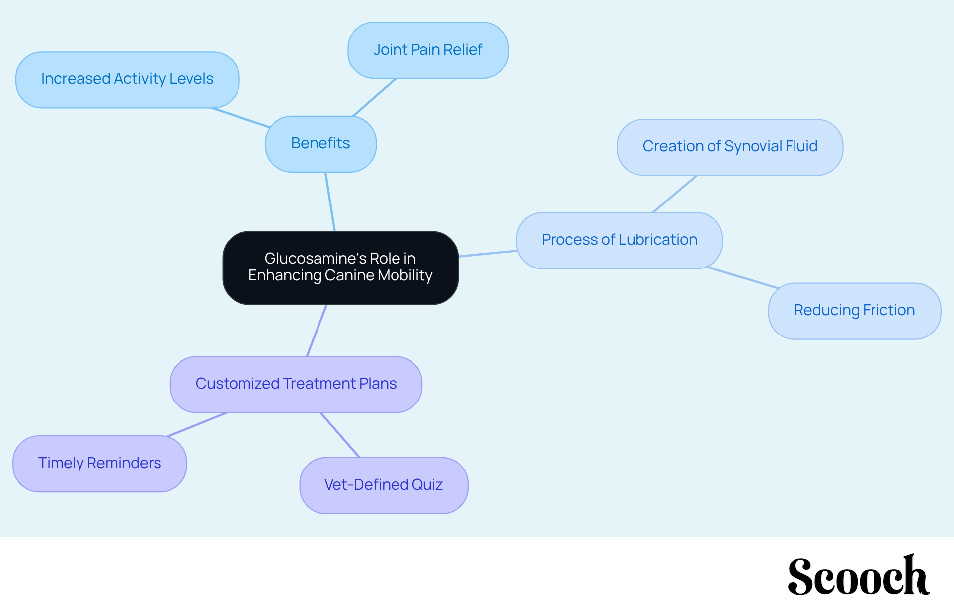 The center highlights glucosamine, with branches showing its benefits, the lubrication process, and how personalized treatment can enhance your dog's mobility.