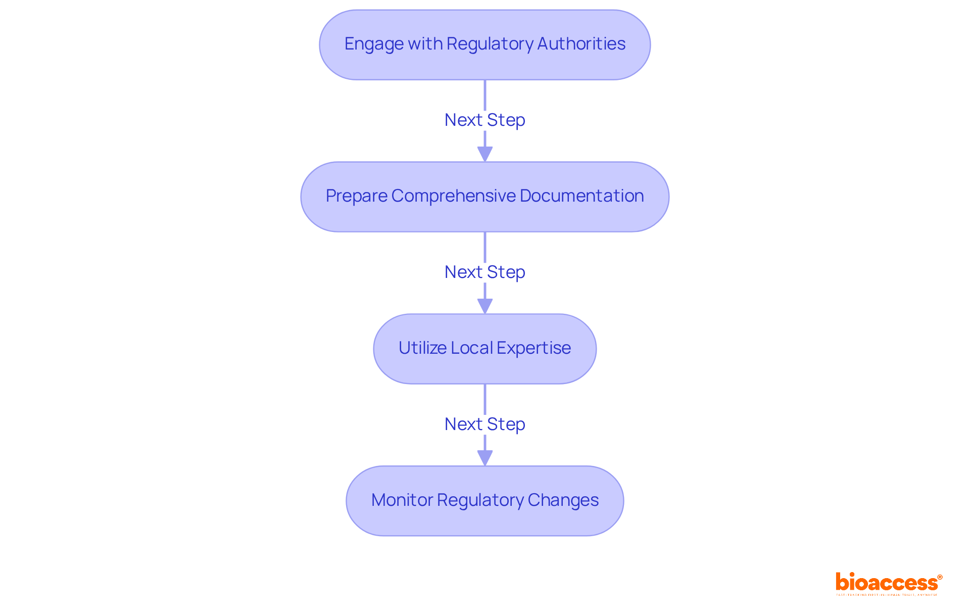 Each box represents a key strategy for overcoming regulatory hurdles. Follow the arrows to see how each step builds on the previous one, guiding you through the process of successfully conducting clinical studies in Bolivia.