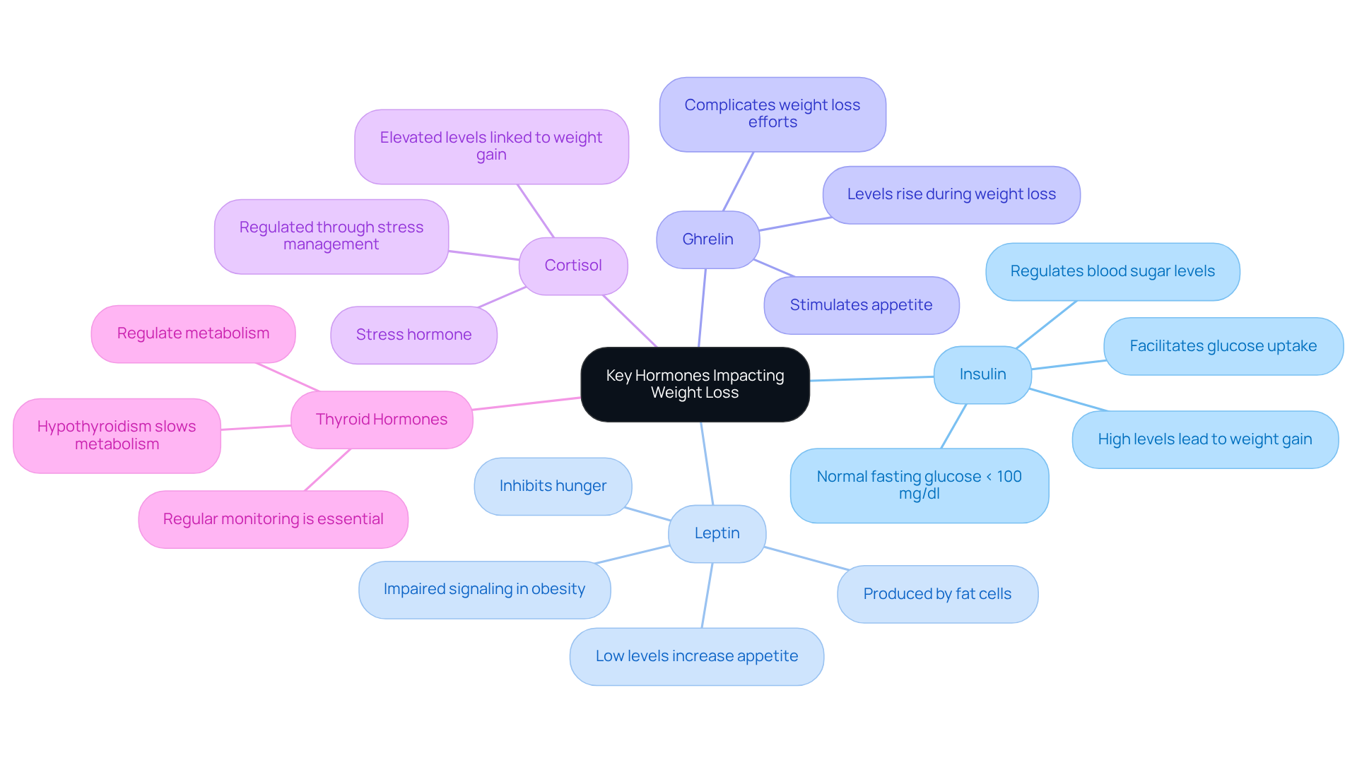 This mindmap starts with the main topic in the center and branches out to show how different hormones influence weight loss. Each branch represents a hormone, and the sub-branches explain their specific roles. This visual helps you see the connections and understand how managing these hormones can support your weight loss journey.