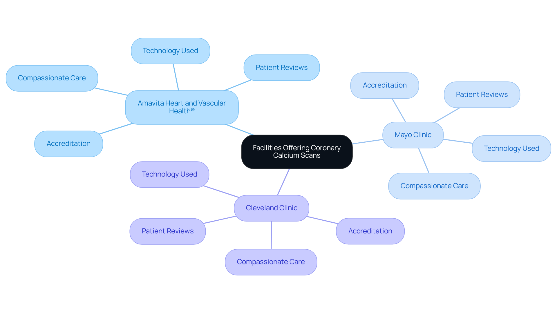 The central node represents the main topic, while the branches show different facilities and their key features. Each color-coded branch helps you quickly identify what each facility offers and what to consider when choosing one.