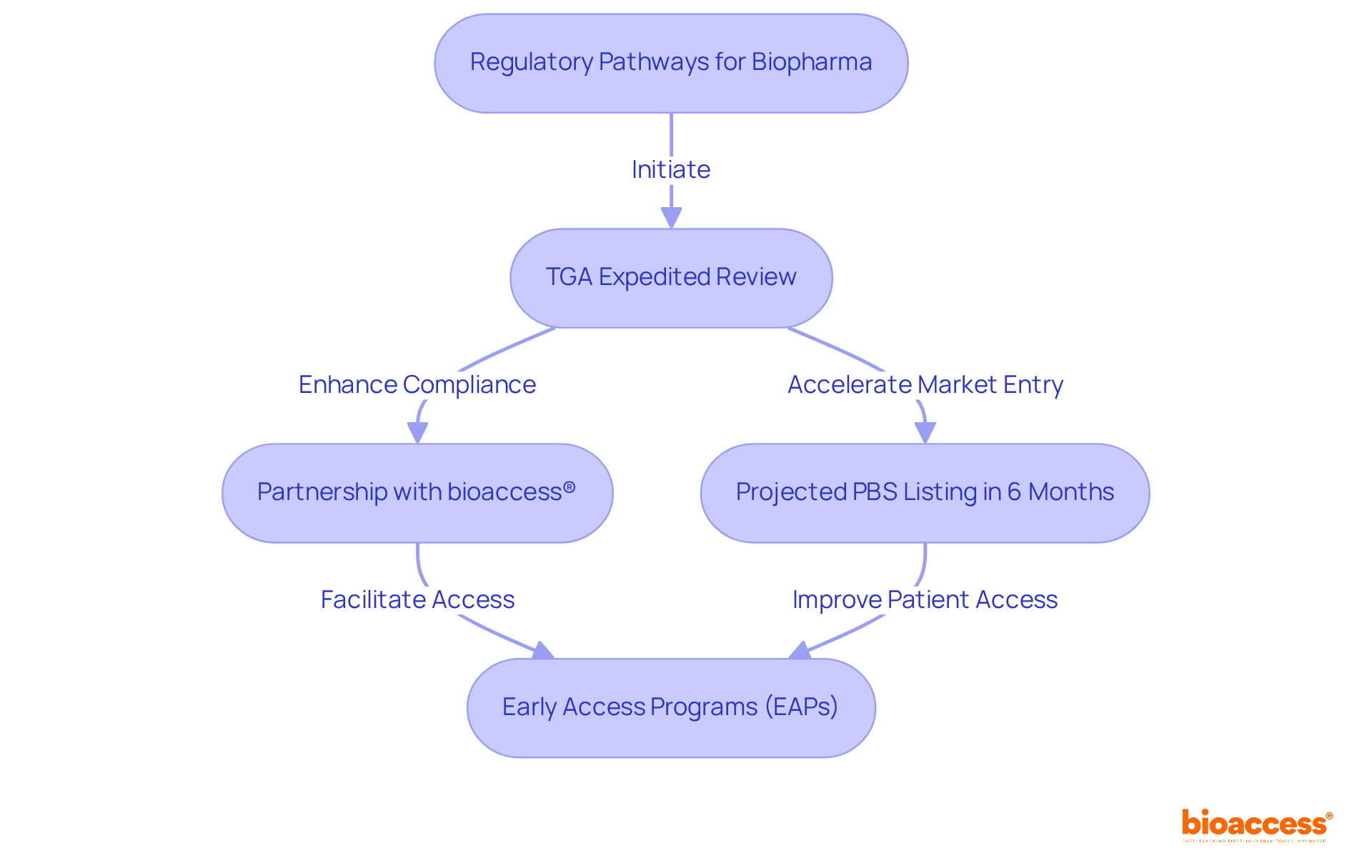 Follow the arrows to see how each step in the regulatory process connects and contributes to faster market entry for innovative therapies.
