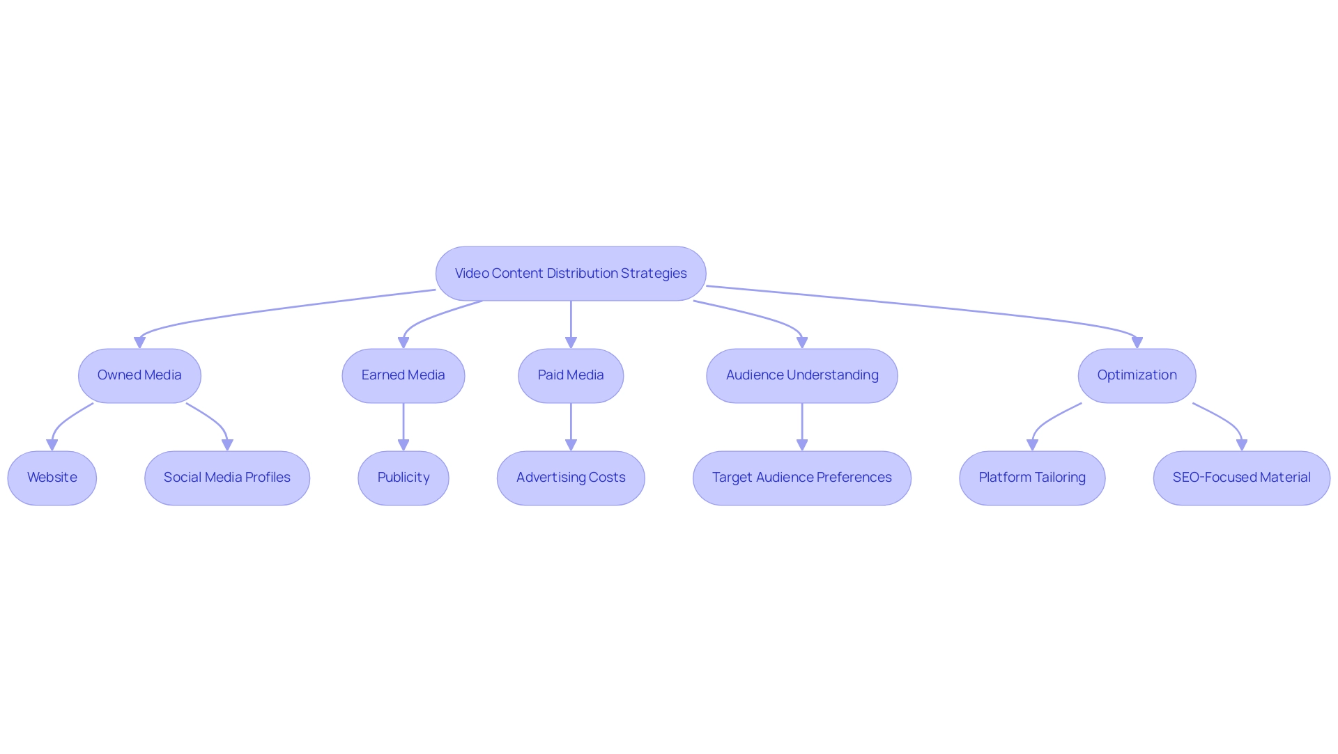 The flowchart illustrates the relationships between owned, earned, and paid media strategies, optimization practices, and understanding target audiences in the context of video content distribution.