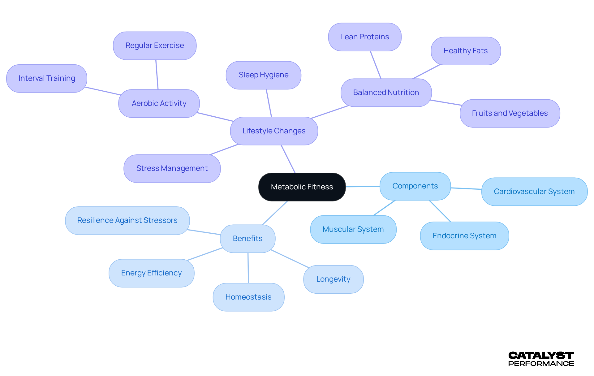 The center represents metabolic fitness, while the branches show its components, benefits, and necessary lifestyle changes. Follow the branches to see how everything connects to overall health. The center represents metabolic fitness, while the branches show its components, benefits, and necessary lifestyle changes. Follow the branches to see how everything connects to overall health.