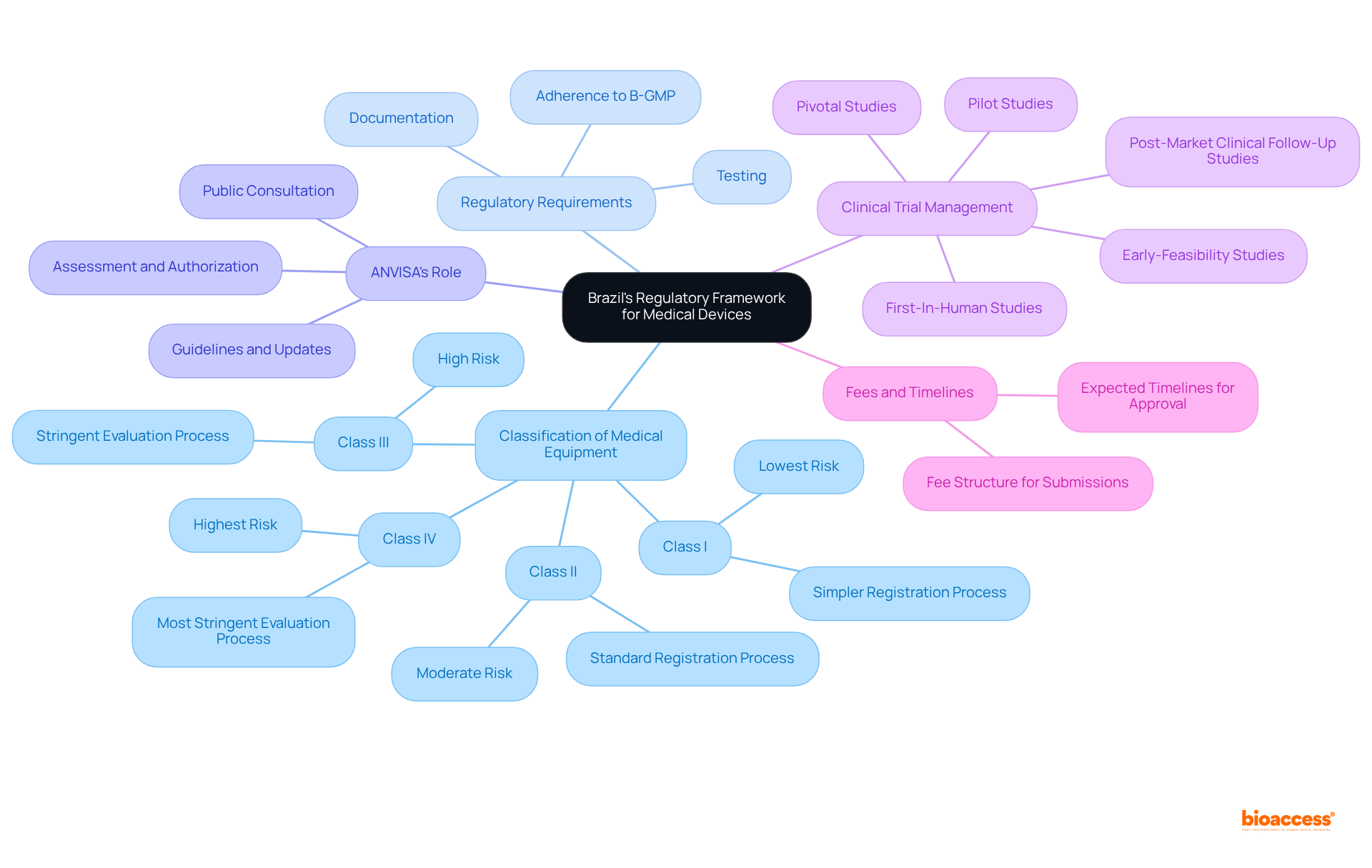 The central node represents the overall regulatory framework, and each branch highlights a key area of focus. Follow the branches to explore the specifics of each component, showing how they contribute to understanding the regulatory landscape.