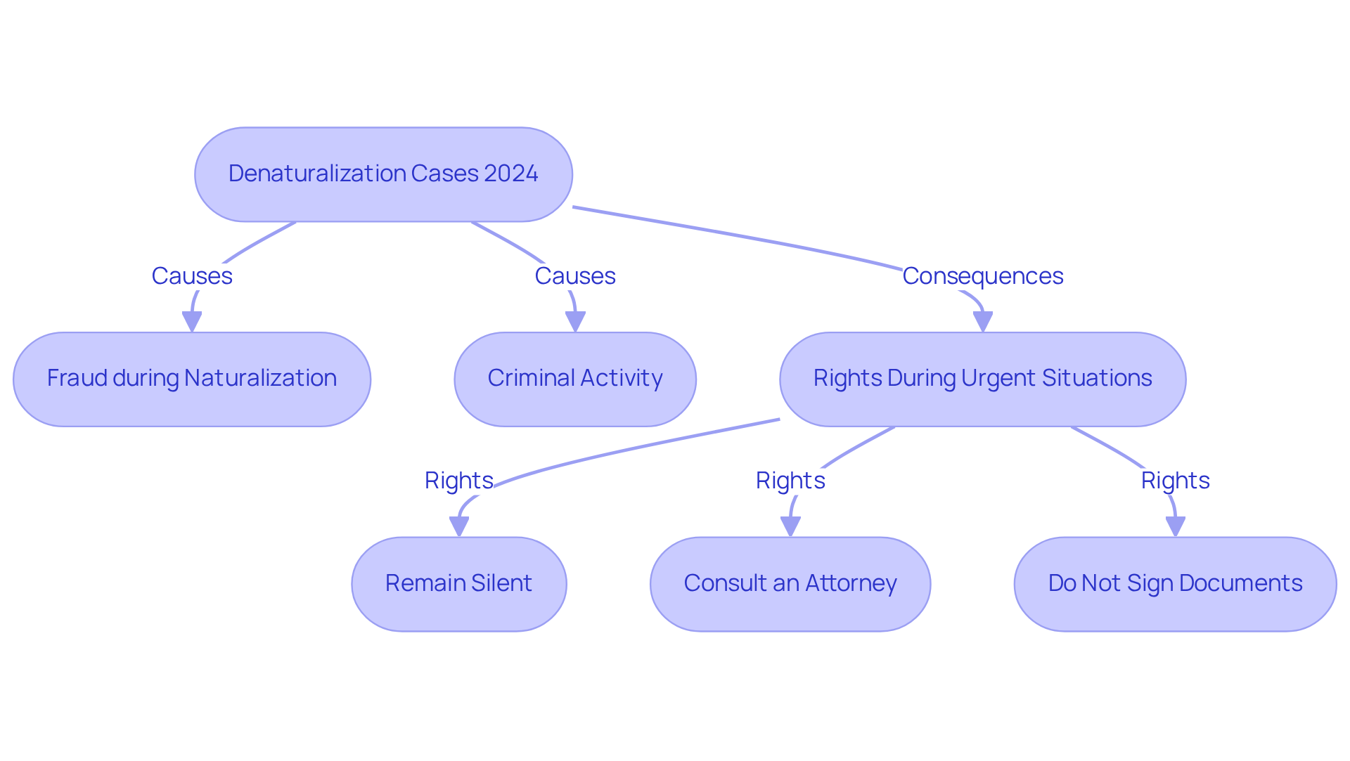 This flowchart illustrates how denaturalization can occur and what rights you have in urgent situations. The boxes show the steps leading to denaturalization and your options when facing legal challenges.