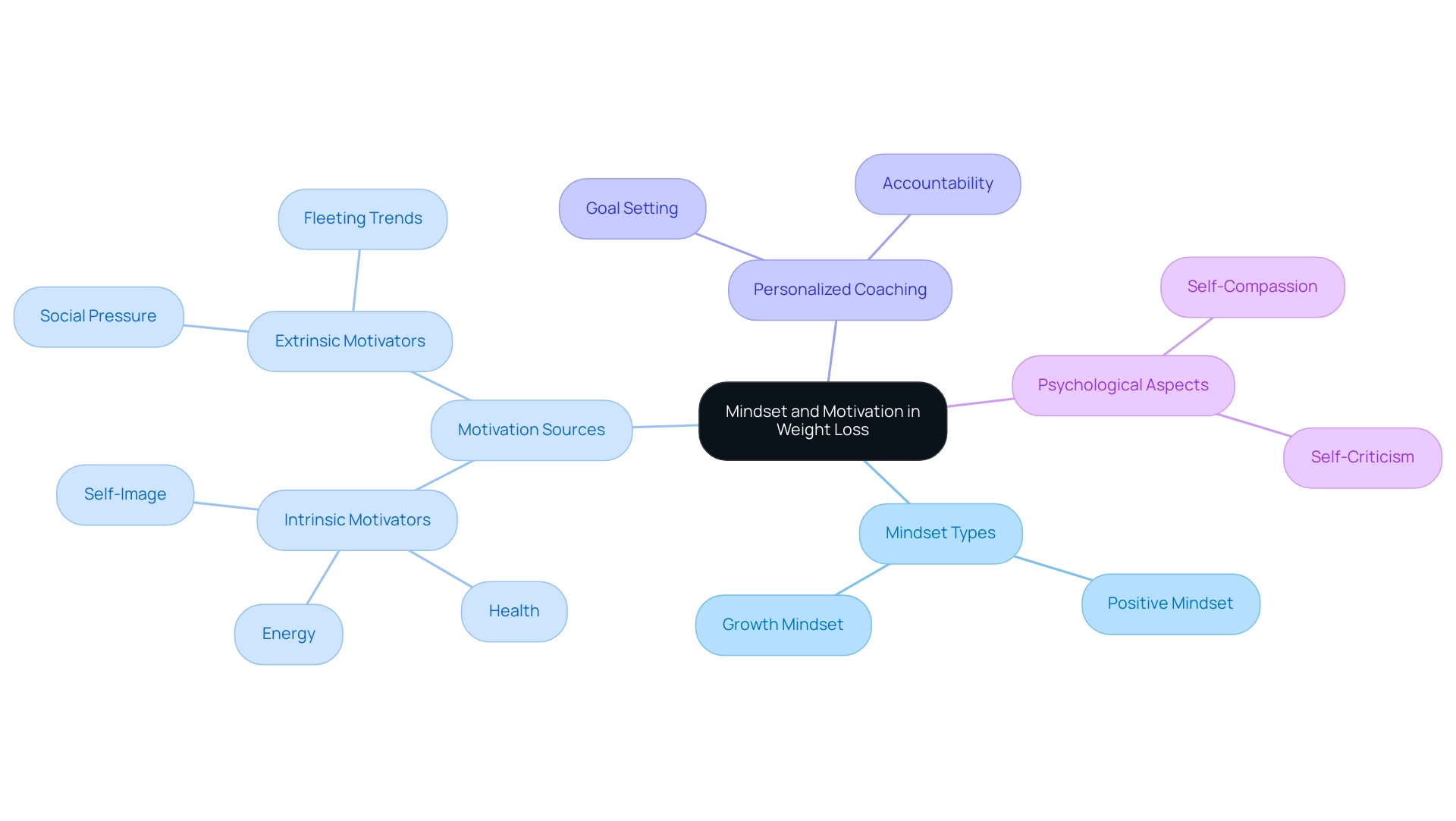 Each color represents a key theme: Mindset Types (blue), Motivation Sources (green), Personalized Coaching (orange), and Psychological Aspects (purple).