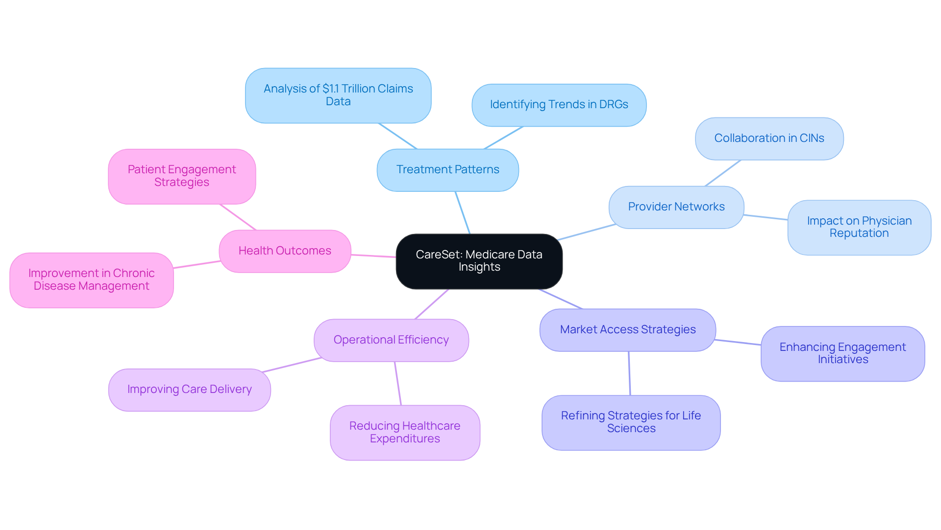 The center represents CareSet's key role, with branches showing how it connects to various important aspects of healthcare. Each theme provides insights into how Medicare data analysis can influence treatment and operational strategies.