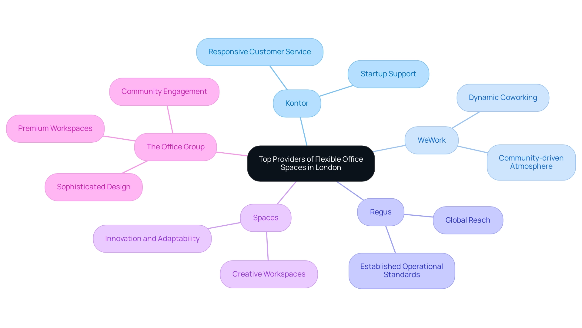 Each branch represents a different provider, with sub-branches indicating unique features and characteristics.