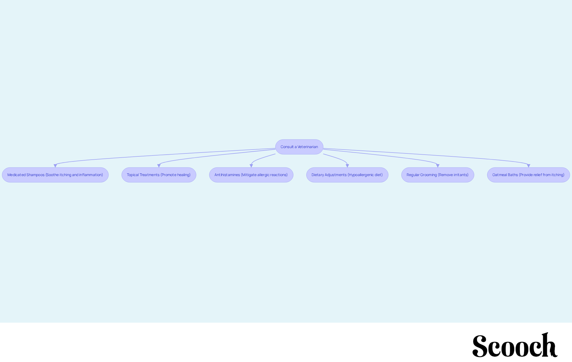 Each box represents a step in the treatment process. Follow the arrows to see the recommended actions to help relieve your dog's rash and improve their comfort. Each box represents a step in the treatment process. Follow the arrows to see the recommended actions to help relieve your dog's rash and improve their comfort.