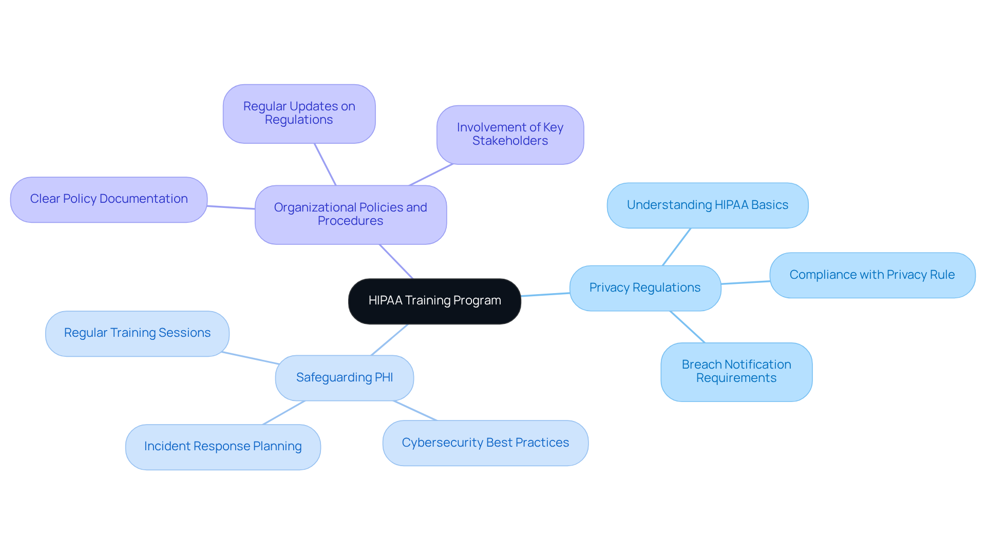 The center represents the main training program, while the branches show key areas of focus. Each sub-branch provides more detail on what the training will cover.