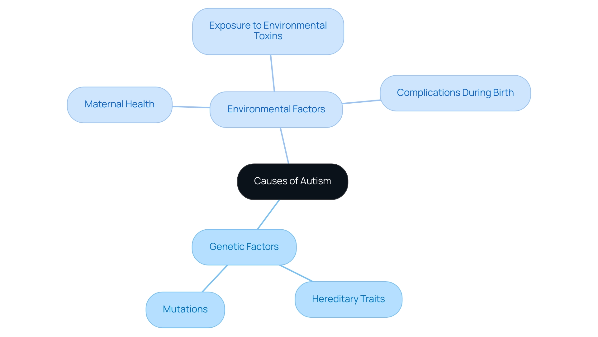 The central node represents the causes of autism, with branches indicating genetic and environmental factors, and their respective influences.