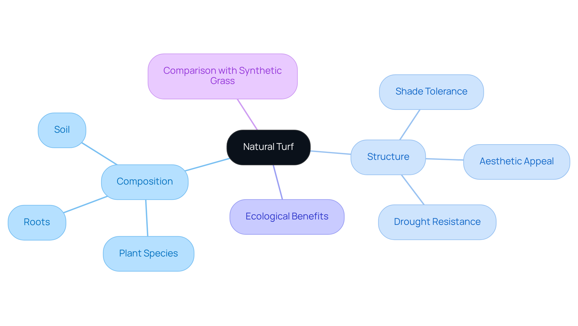 Start at the center with 'Natural Turf', then explore the branches to see how different aspects like composition and structure contribute to its overall ecosystem. Start at the center with 'Natural Turf', then explore the branches to see how different aspects like composition and structure contribute to its overall ecosystem.