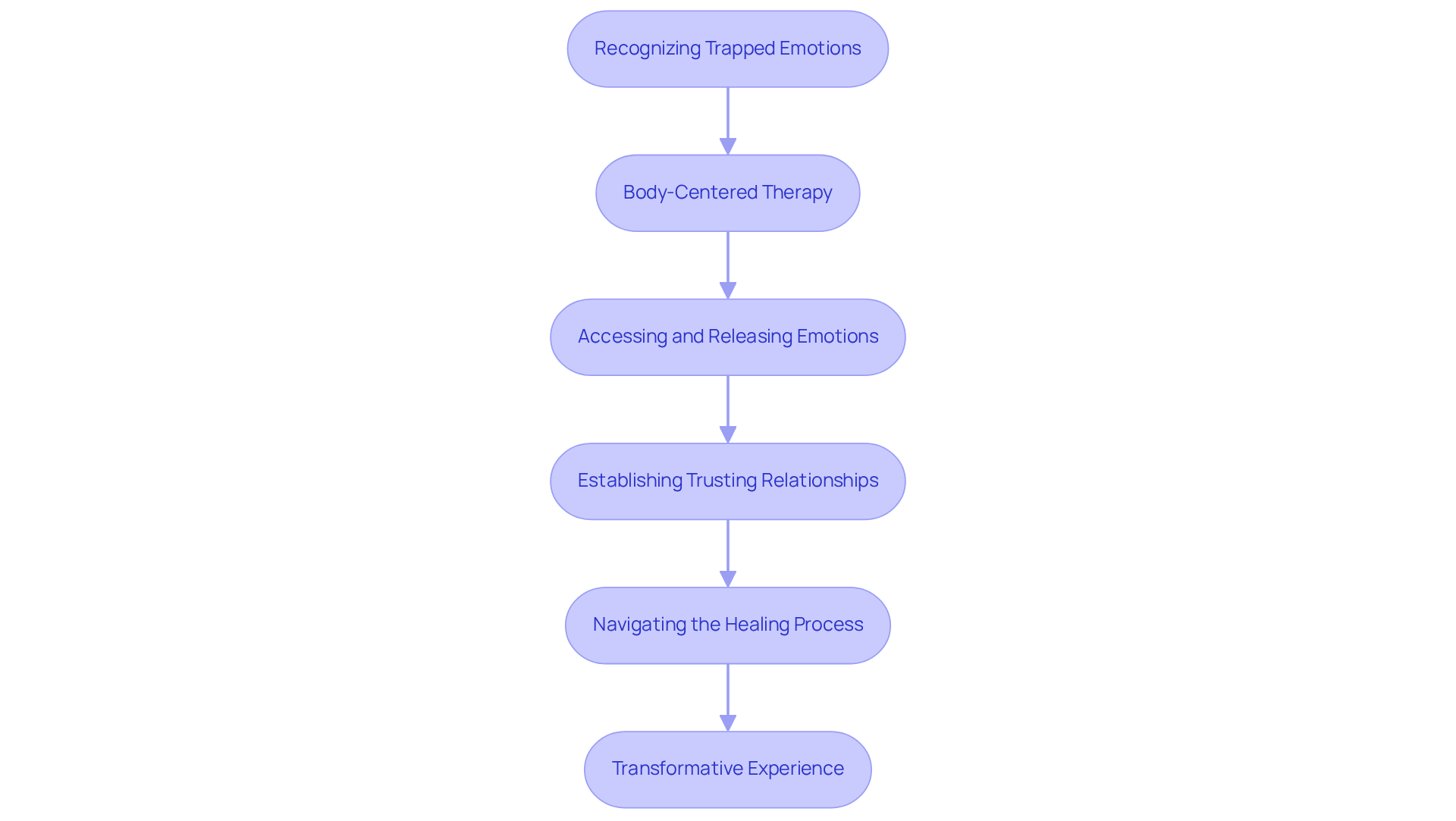 This flowchart illustrates the journey of healing through somatic guides. Each step shows how clients move from recognizing their emotions to experiencing transformation, highlighting the importance of body awareness and trust in the healing process. This flowchart illustrates the journey of healing through somatic guides. Each step shows how clients move from recognizing their emotions to experiencing transformation, highlighting the importance of body awareness and trust in the healing process.