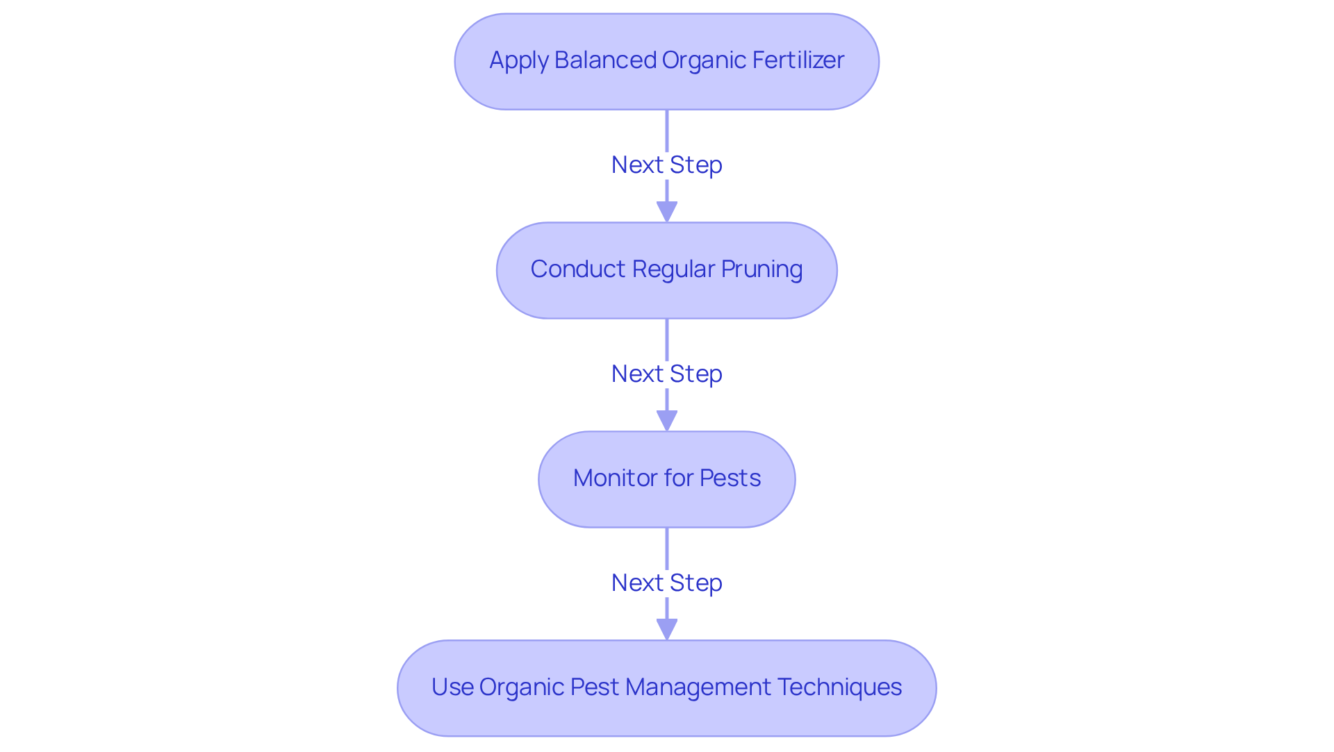 Each box shows a step in caring for your fig plants. Follow the arrows to see how to apply fertilizer, prune, monitor pests, and maintain a healthy ecosystem for optimal growth.