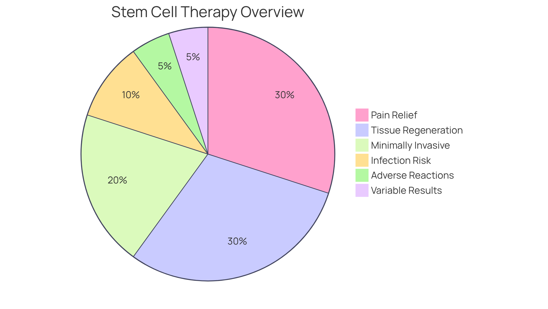 The green section shows the positive aspects of stem cell therapy, highlighting how it can help patients regain their quality of life. The red section outlines the risks involved, reminding us to consider potential complications.