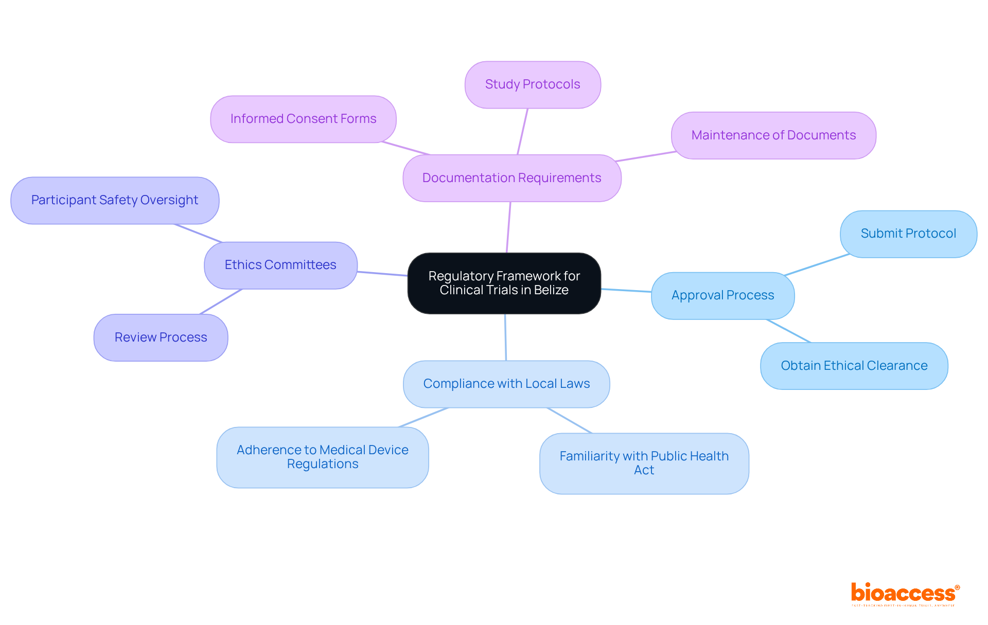 The central node represents the overall regulatory framework, while the branches show key components researchers need to understand. Each sub-branch provides more detail on specific actions or requirements, helping to visualize the entire process.