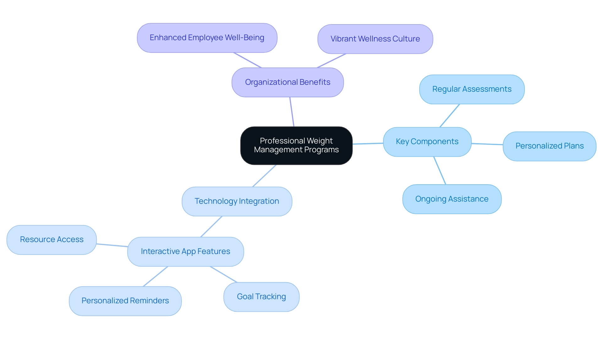 The central node represents the overall program, with branches showing key components, technology integration, and benefits to the organization.