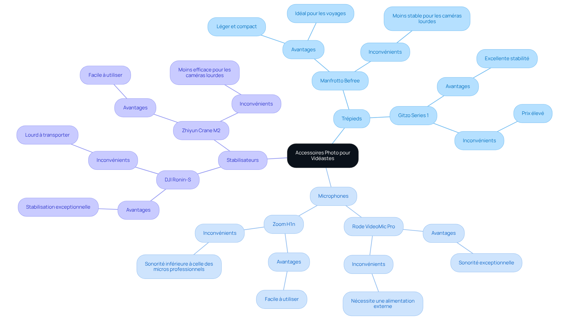 Le centre représente tous les accessoires photo, et chaque branche montre les catégories. Les sous-branches détaillent les modèles avec leurs avantages et inconvénients respectifs, ce qui facilite la comparaison.