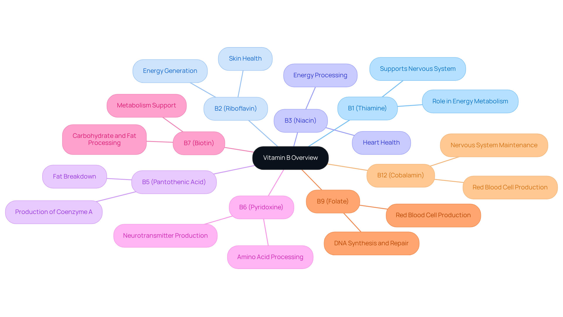The center shows the main topic of Vitamin B, and each branch represents a different vitamin. Follow the branches to learn about each vitamin's unique role in keeping your body and mind healthy. The center shows the main topic of Vitamin B, and each branch represents a different vitamin. Follow the branches to learn about each vitamin's unique role in keeping your body and mind healthy.